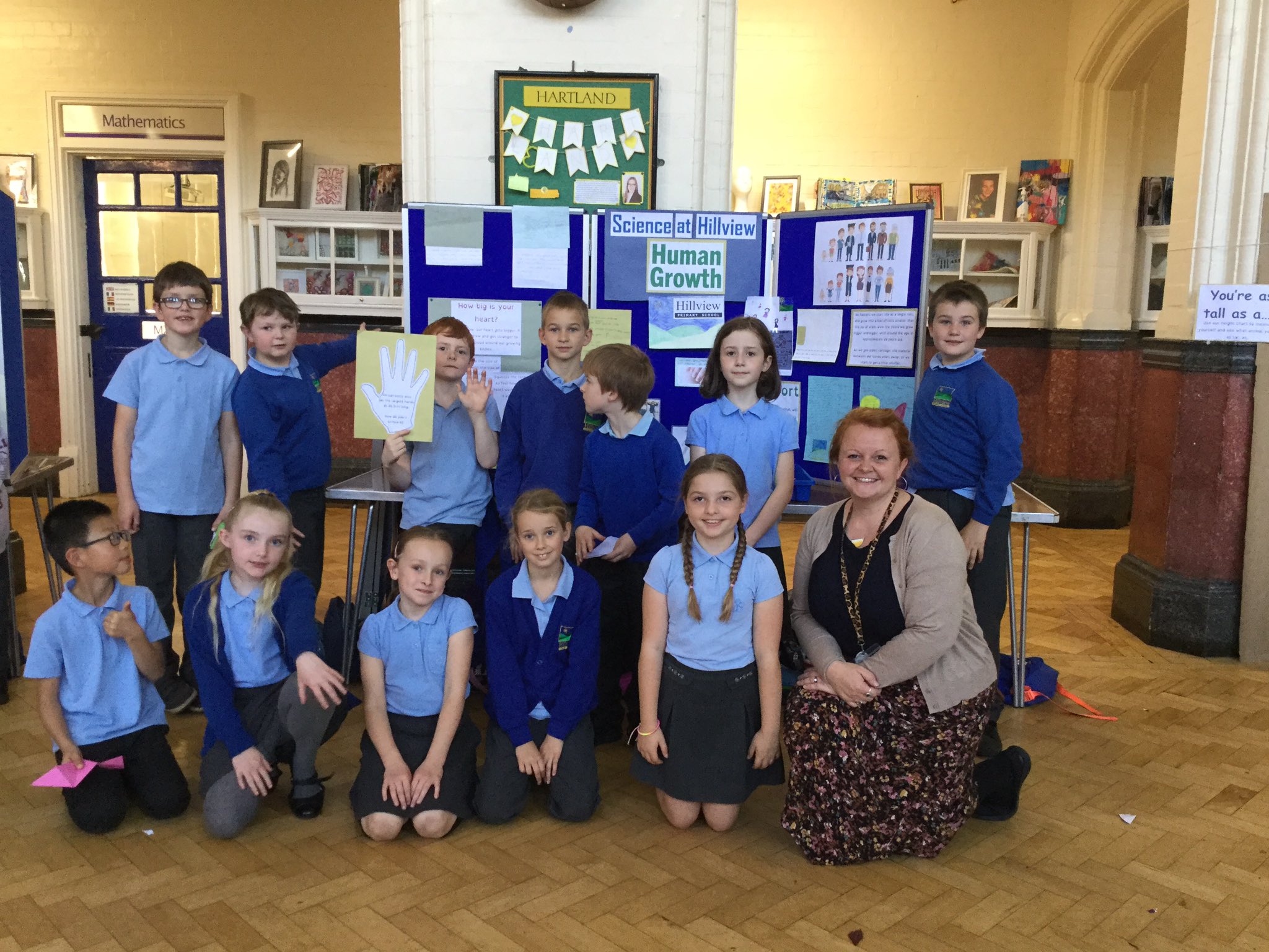 Our School | Hillview Primary School