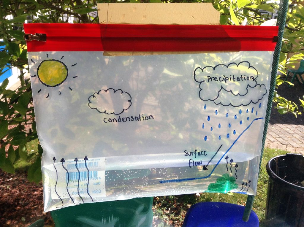 Water Cycle in a Bag!! | Green Top School