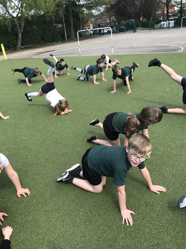 Our practical muscle experiment | Green Top School