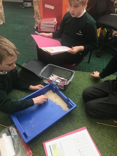 Bird Beak Experiment | Green Top School