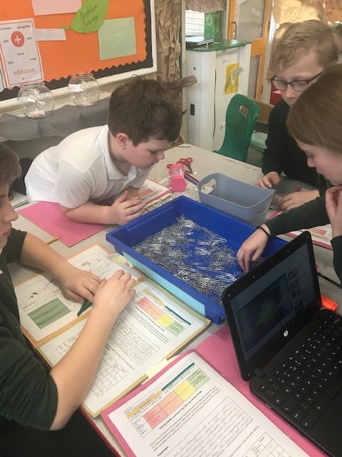 Bird Beak Experiment | Green Top School