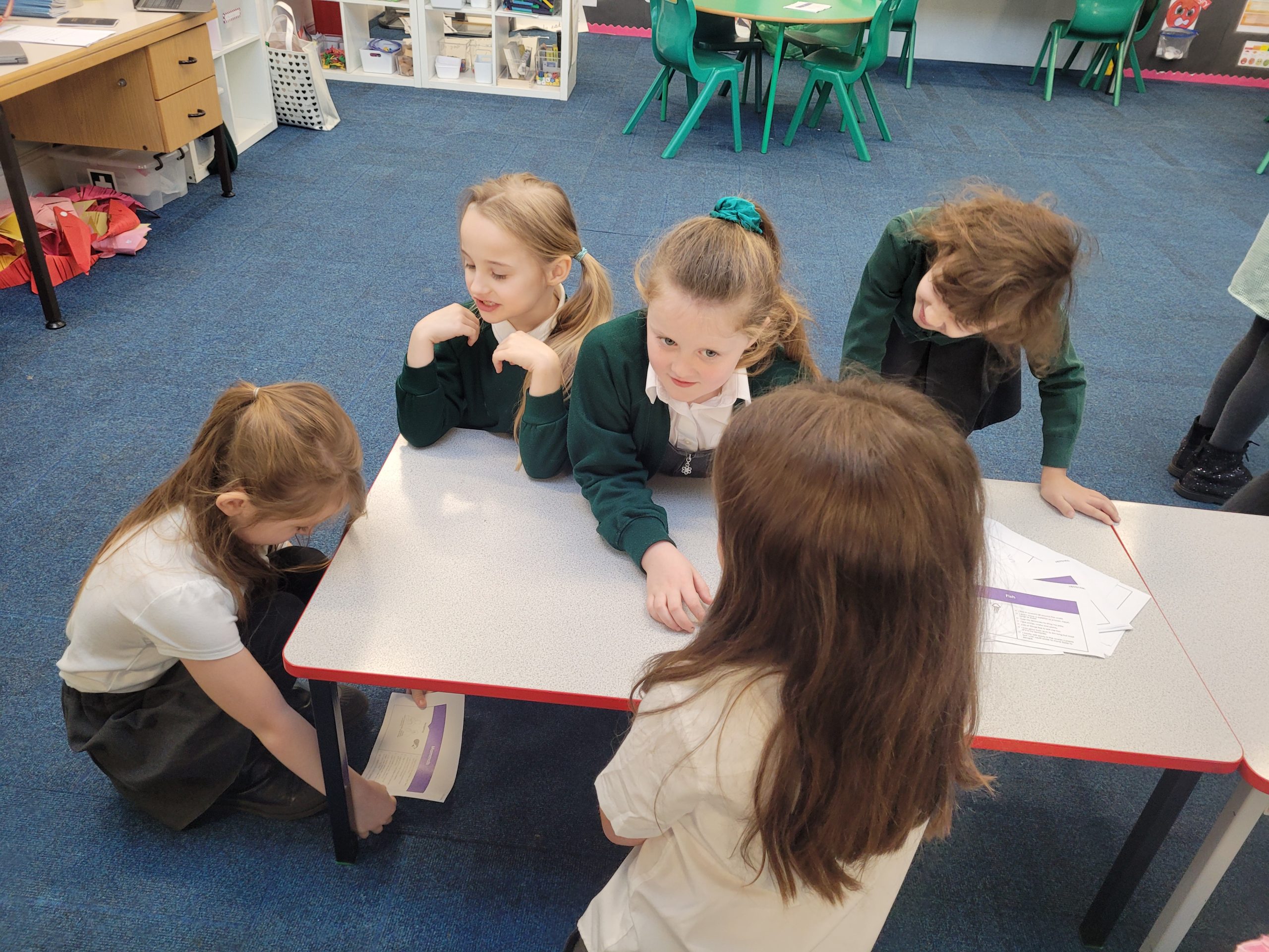 Animal makaton | Green Top School