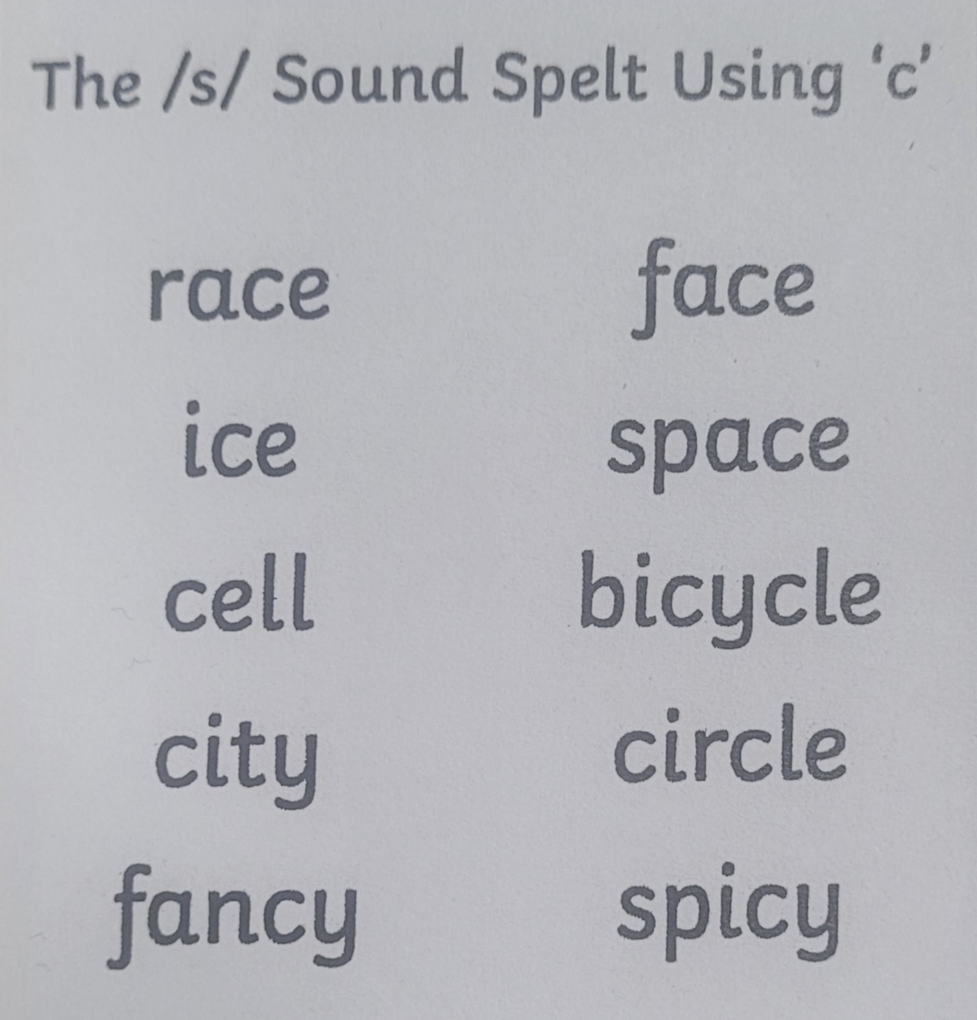 Mrs Shaw’s spelling group | Green Top School
