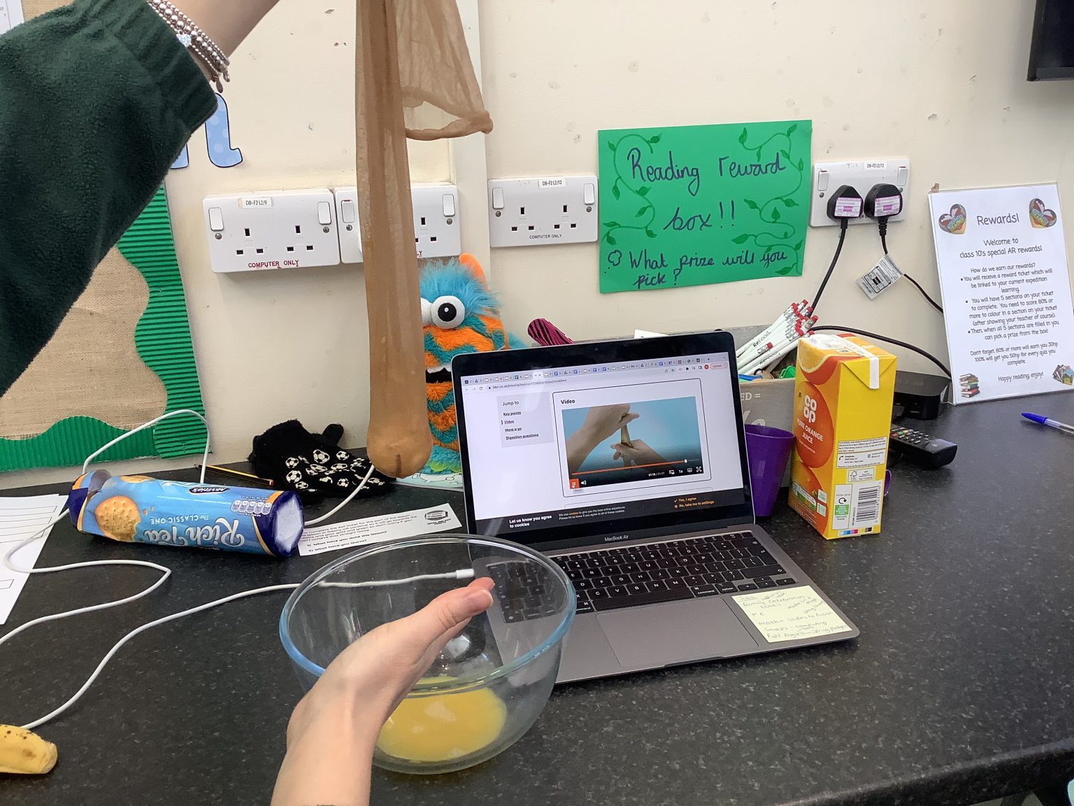 Disgusting digestion! | Green Top School