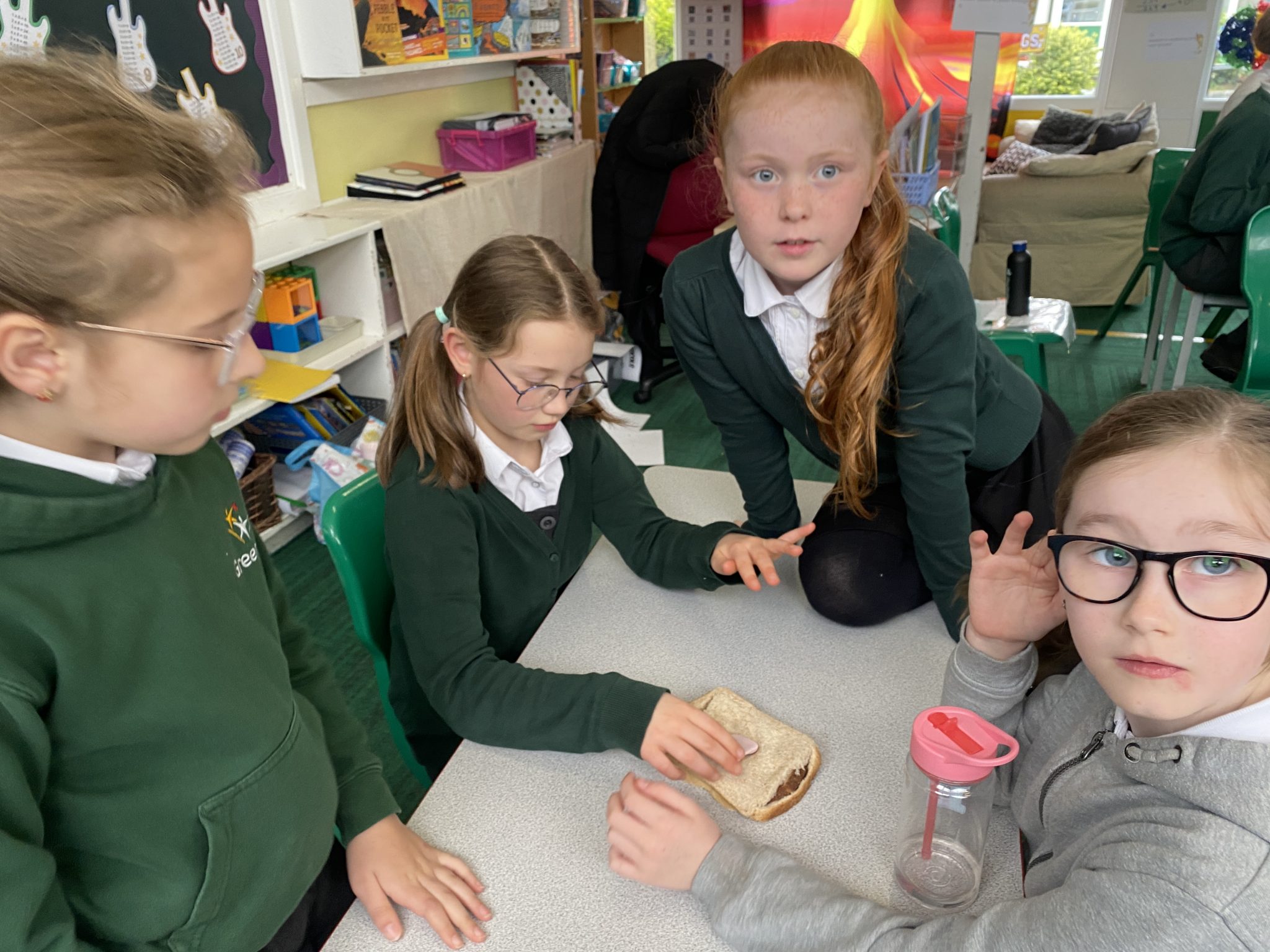 Class 12: Fossils! | Green Top School