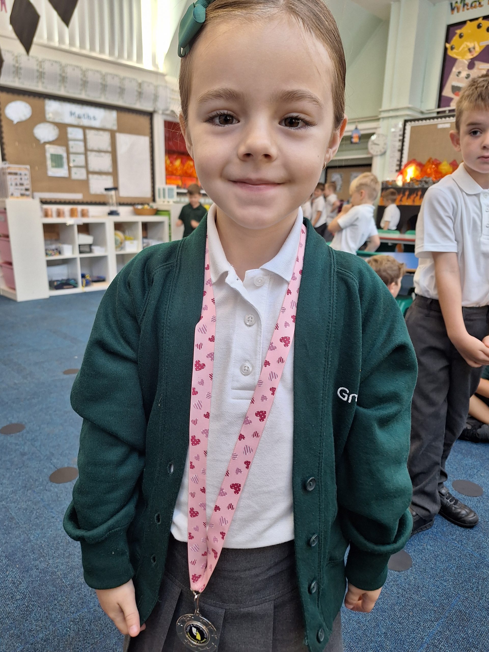 class 8 further study | Green Top School