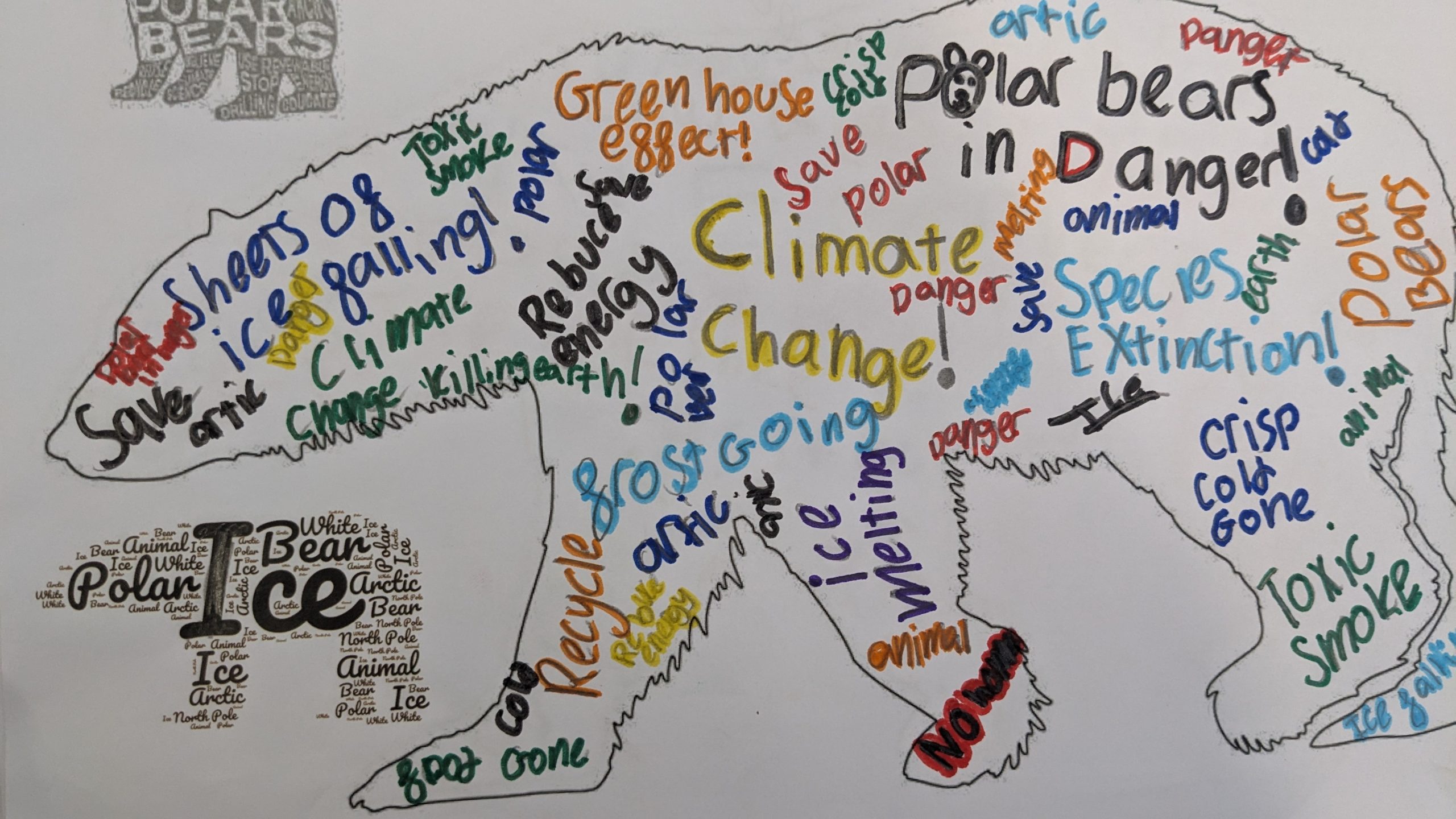 Class 9 – polar bear word clouds | Green Top School