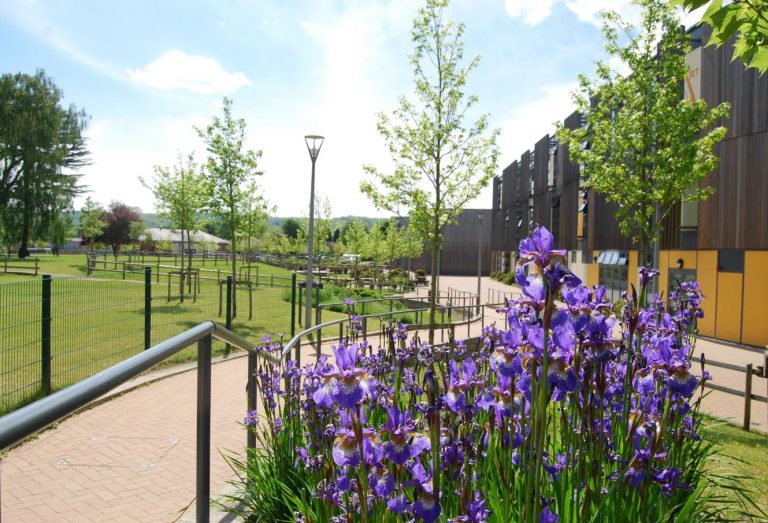 Admissions | Rednock School