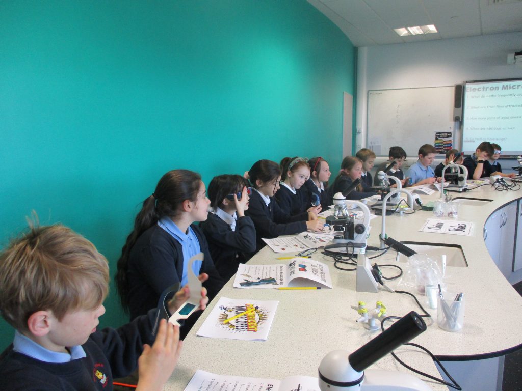 Y5HA: Harton Academy Visit | Mortimer Primary School