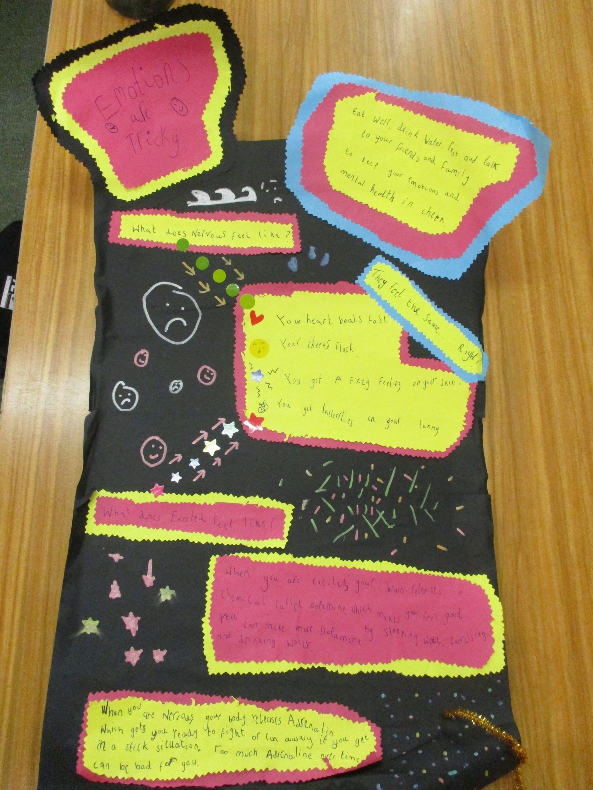 Science Bioartattack Competition | Mortimer Primary School