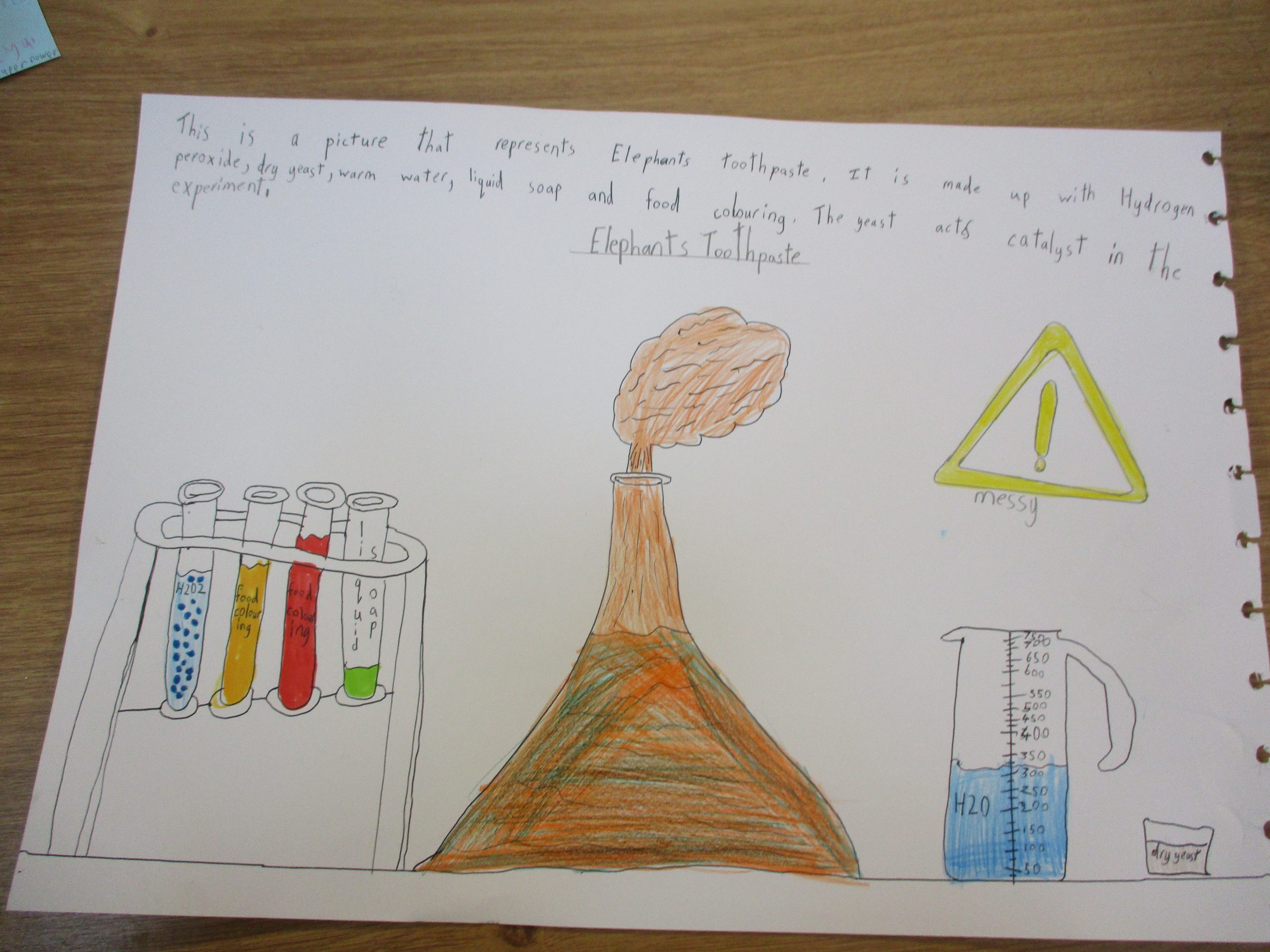 Science Bioartattack Competition | Mortimer Primary School
