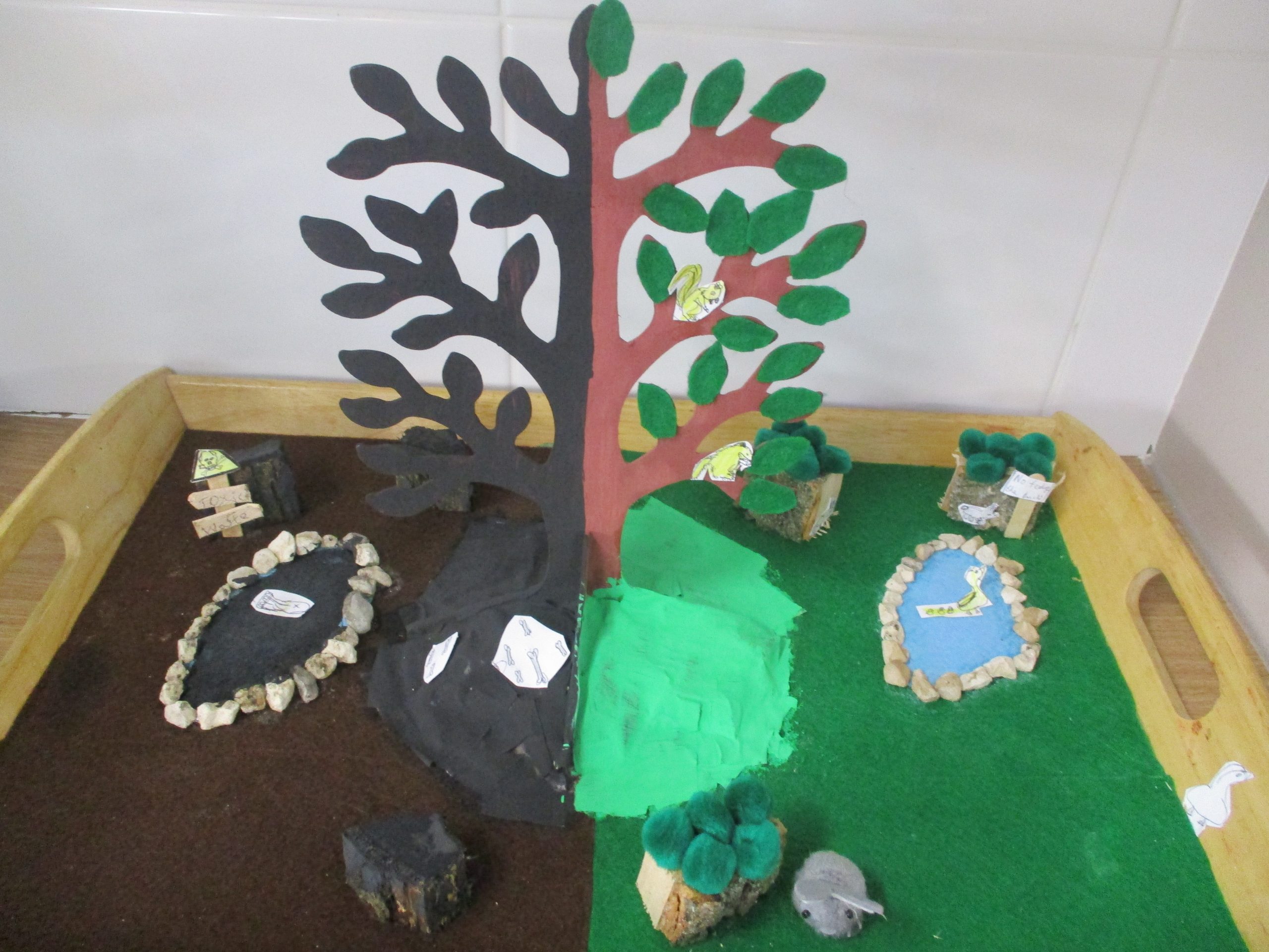 Science Bioartattack Competition | Mortimer Primary School