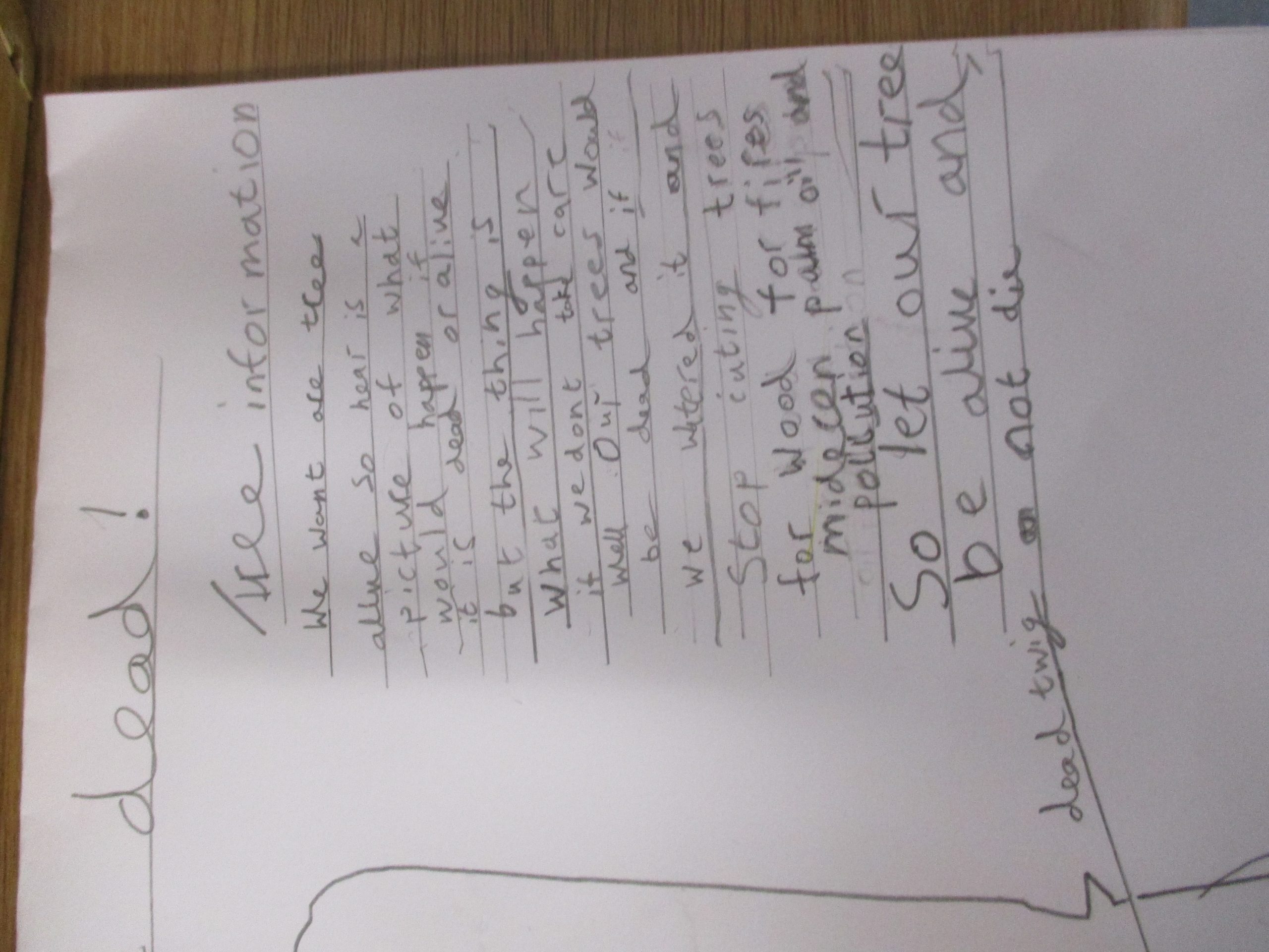 Science Bioartattack Competition | Mortimer Primary School