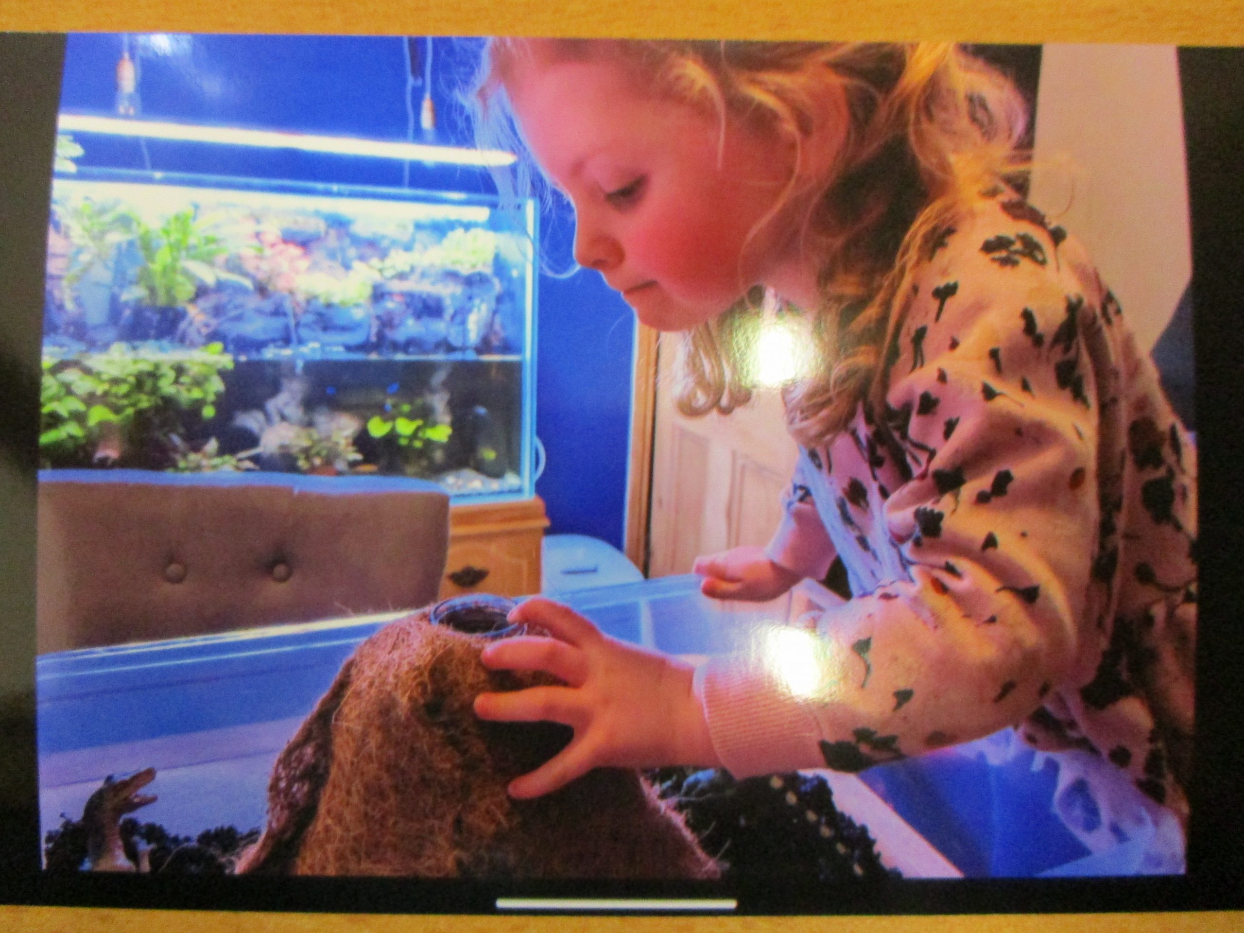 Science Selfie Competition! | Mortimer Primary School