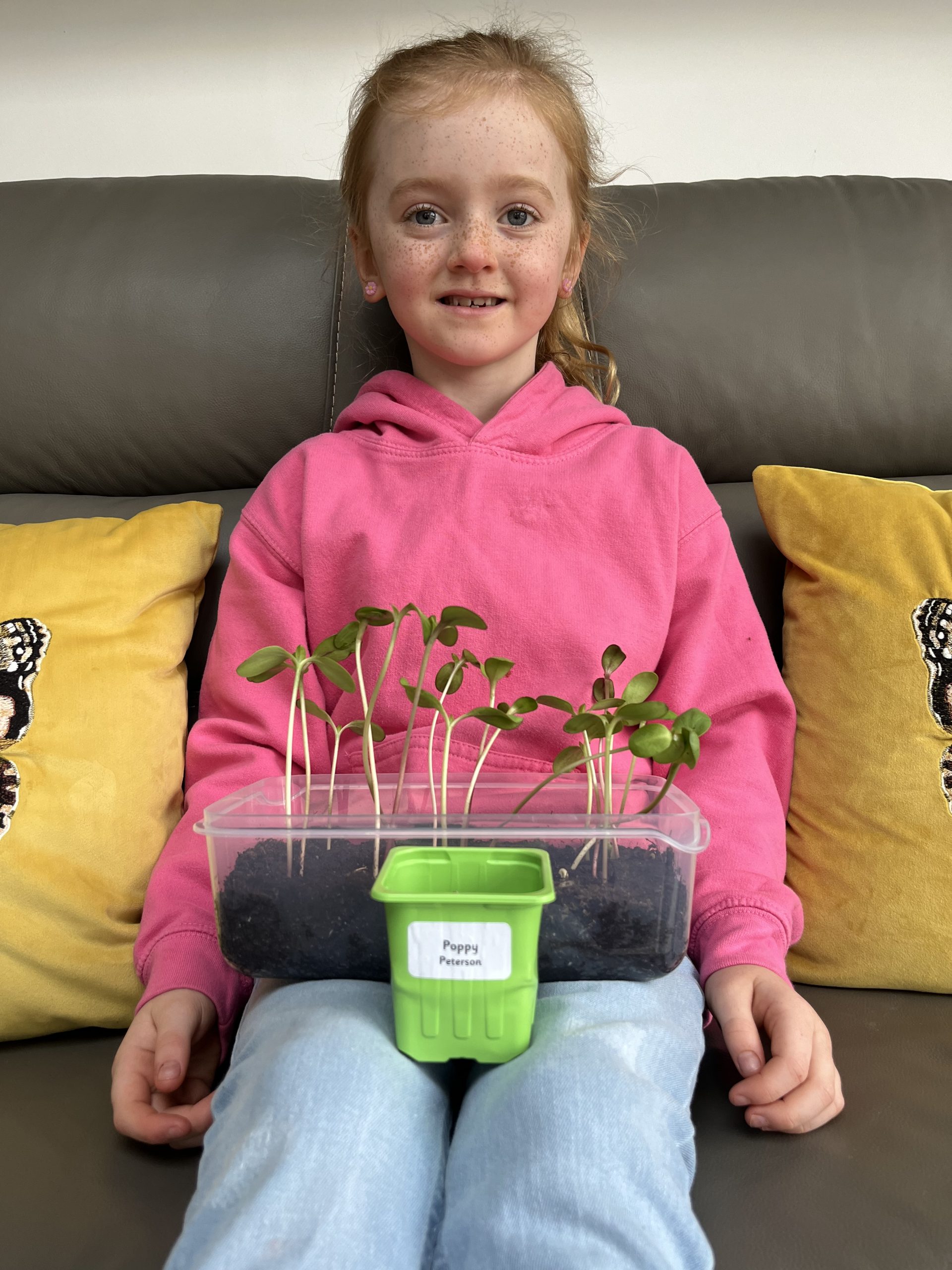 Science Selfie Competition! | Mortimer Primary School