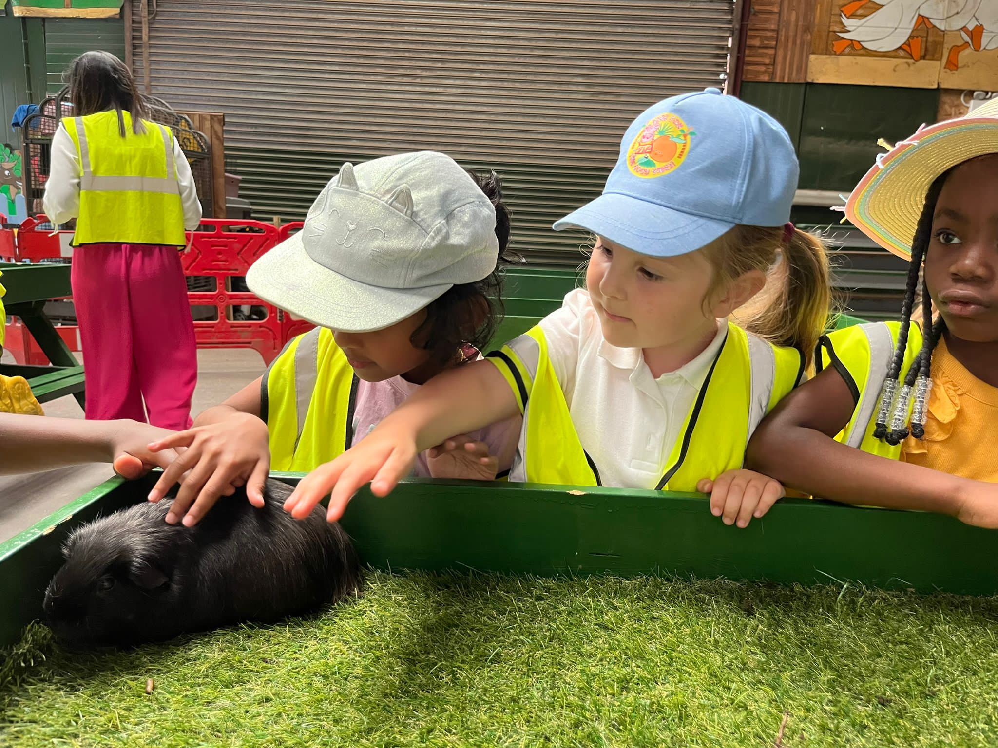 Reception trip to Lower Drayton Farm | SS Peter and Paul Catholic ...