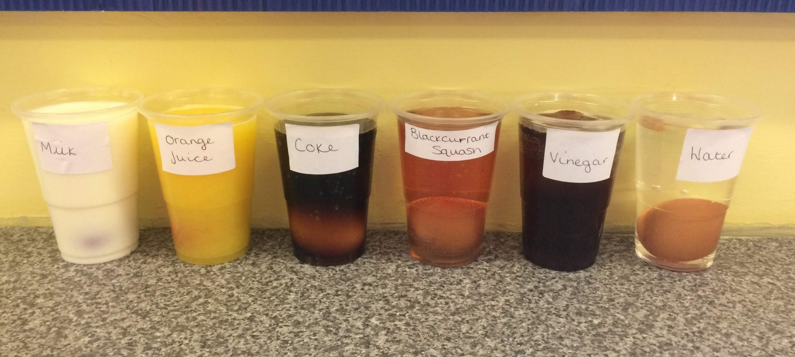 Tooth Decay Investigation | Fellgate Primary School