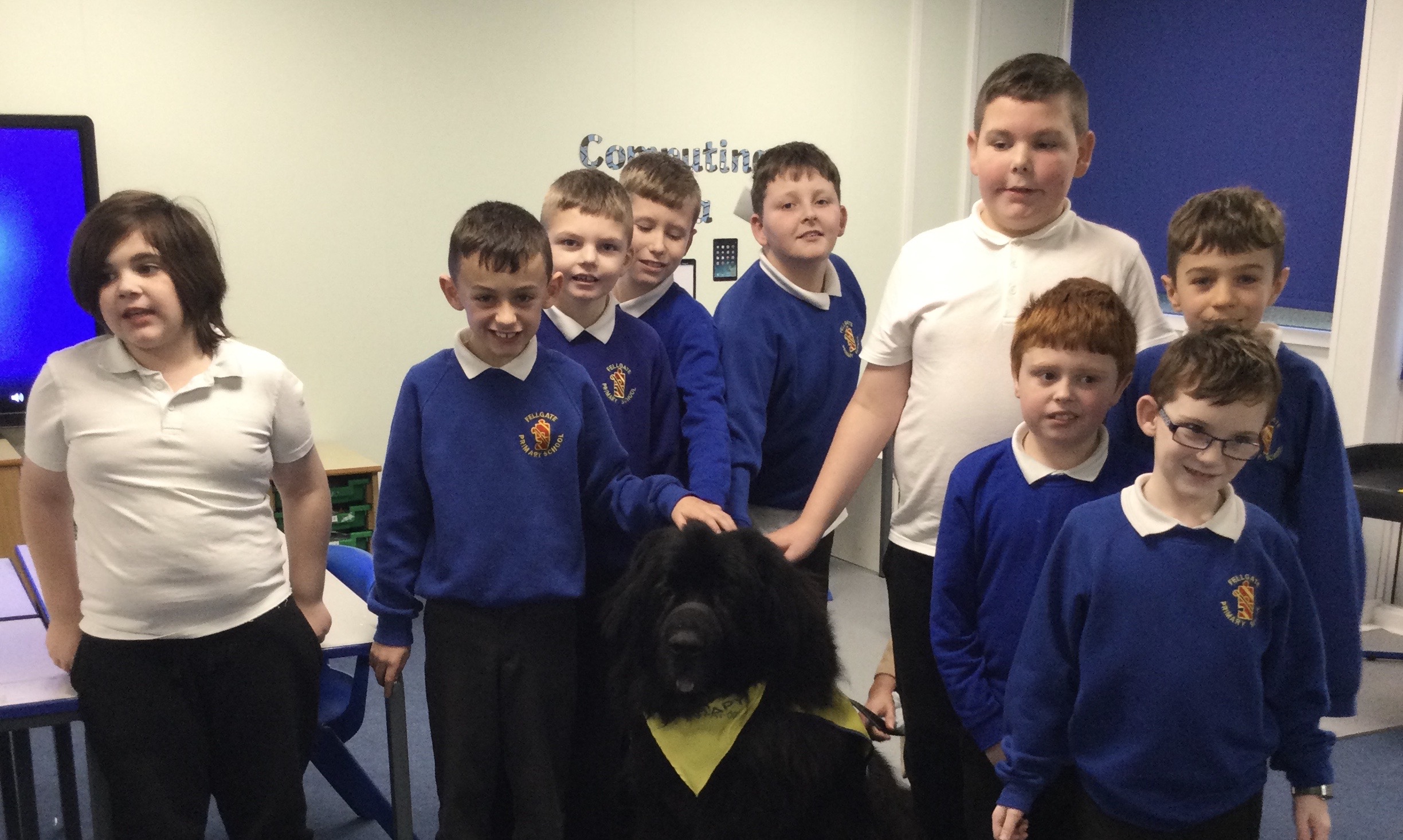 Teddy the Therapy Dog | Fellgate Primary School