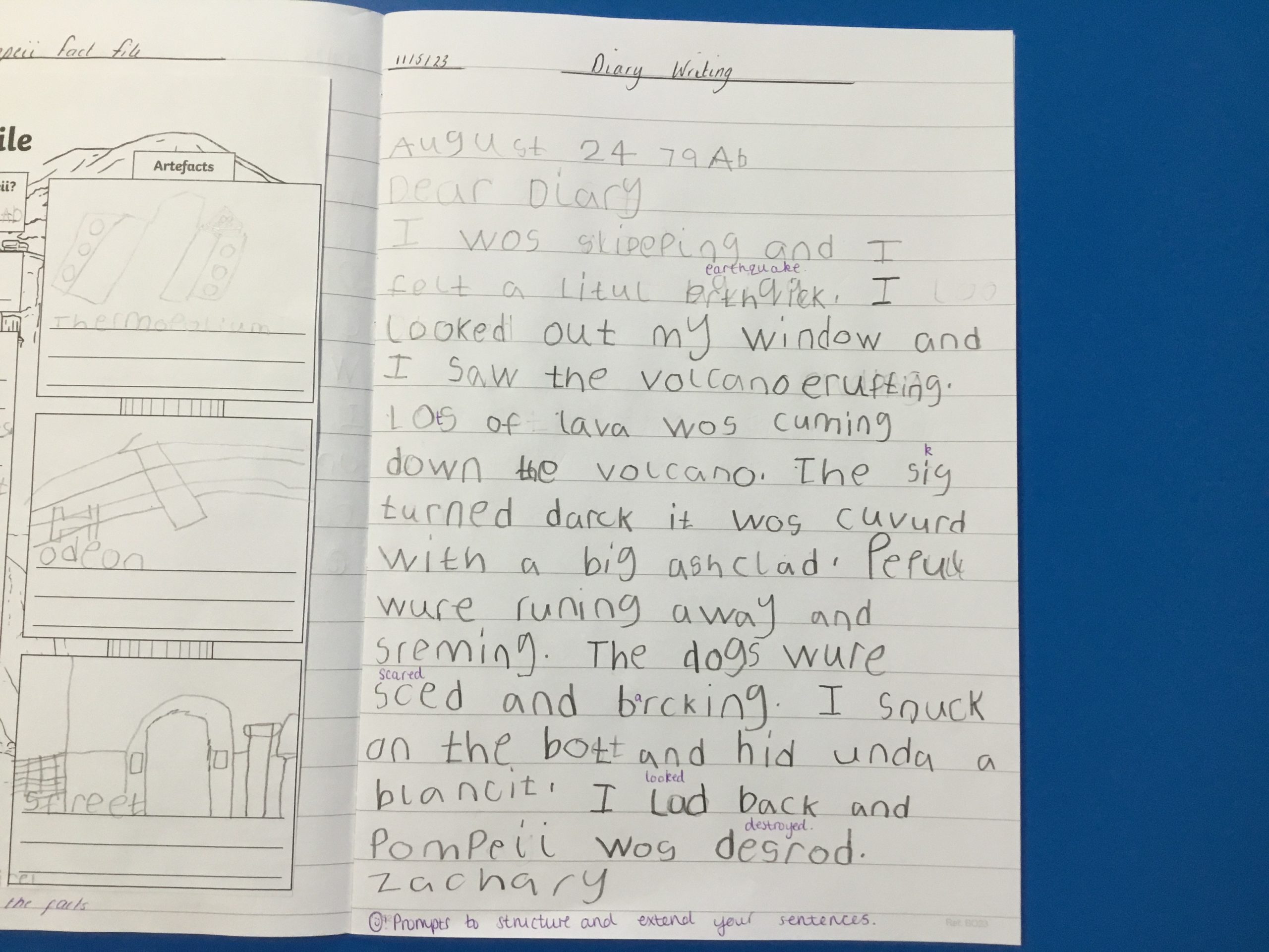 Dear Diary | Fellgate Primary School