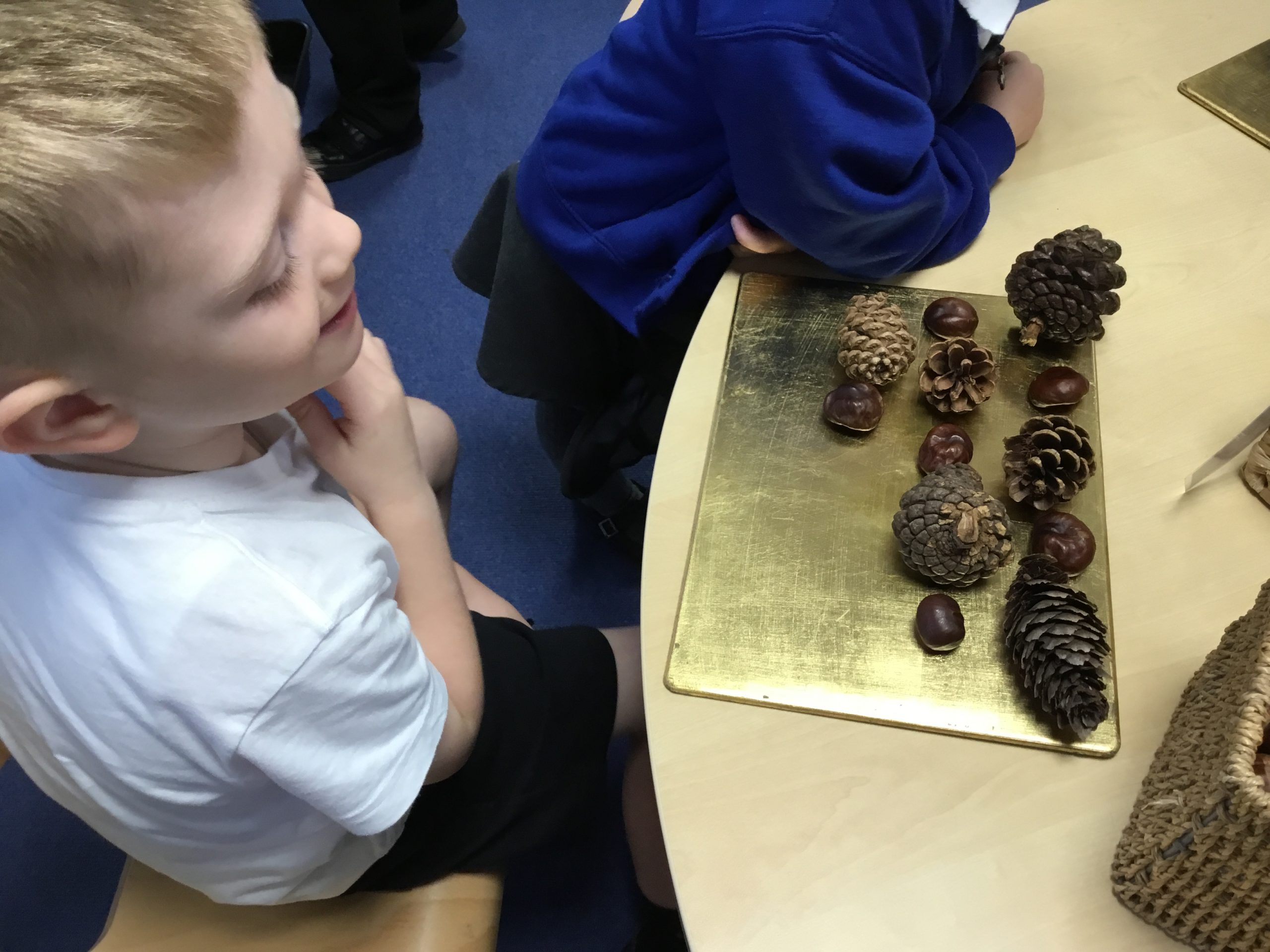 Patterns, Patterns Everywhere! | Fellgate Primary School