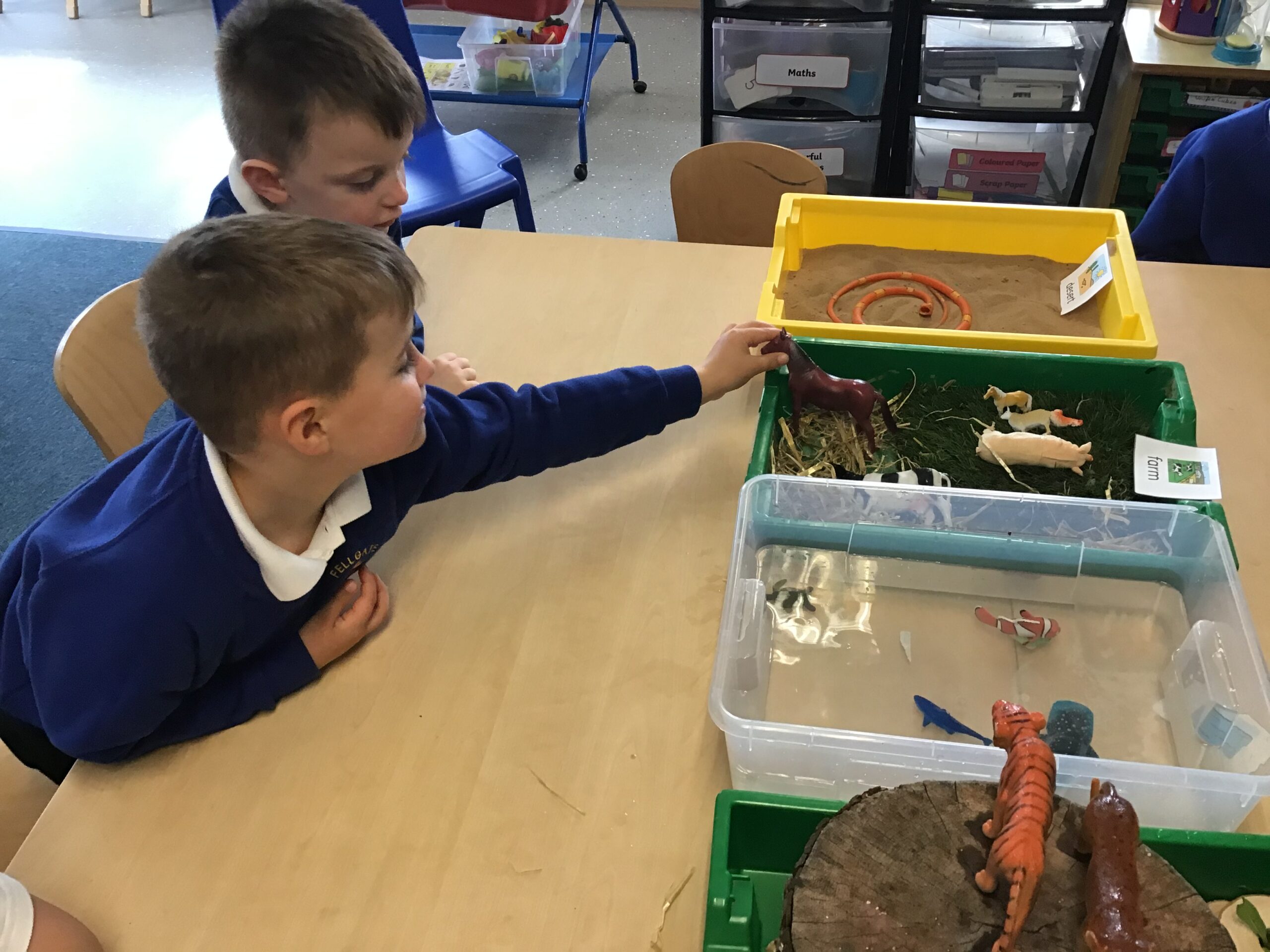 Animal Habitats | Fellgate Primary School