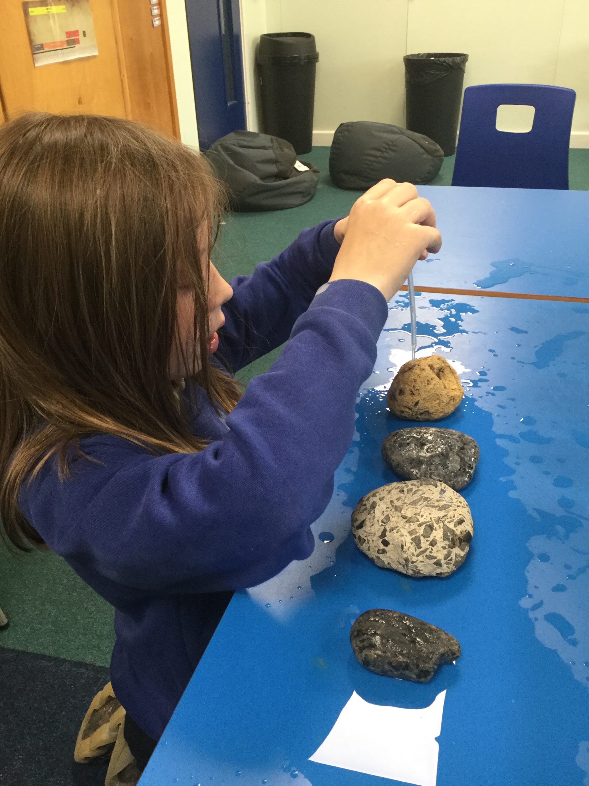Science “Rocks” | Fellgate Primary School