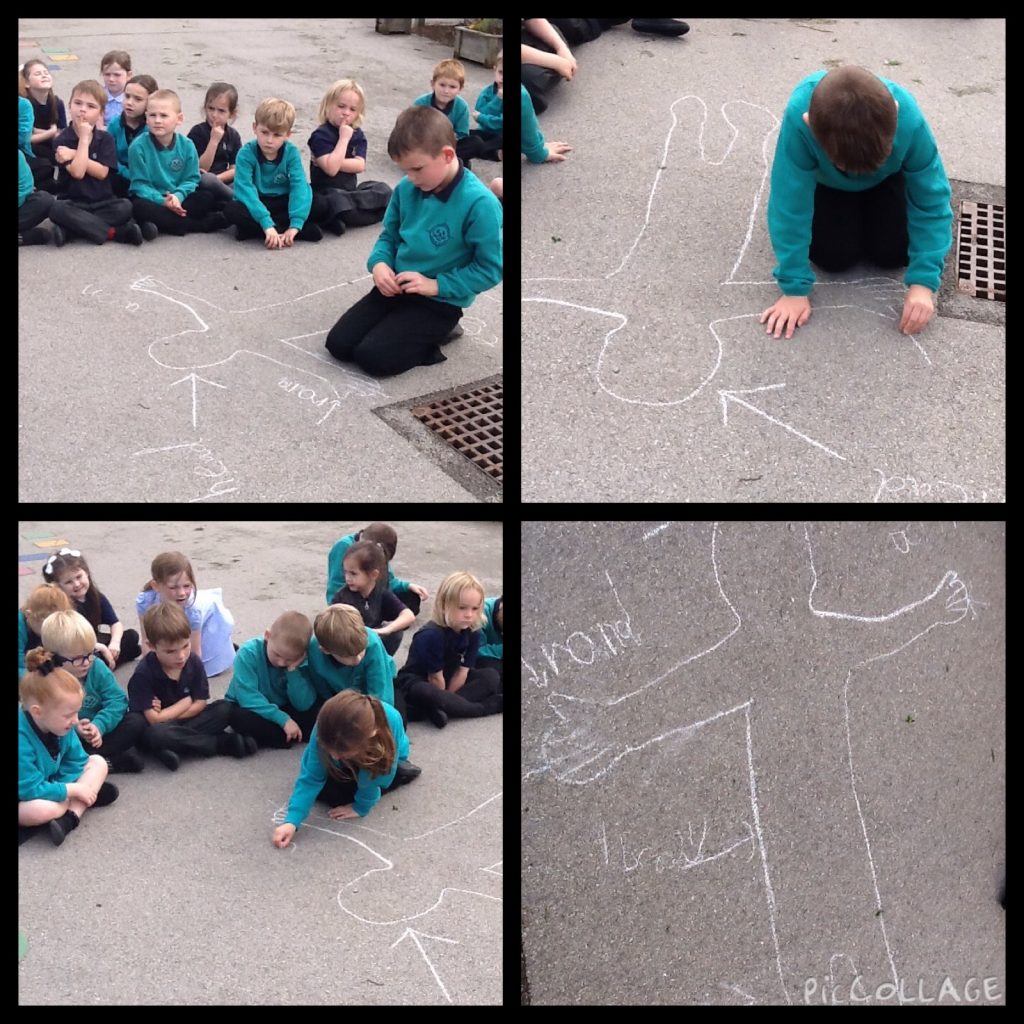 Labeling parts of the body | Christopher Pickering Primary School