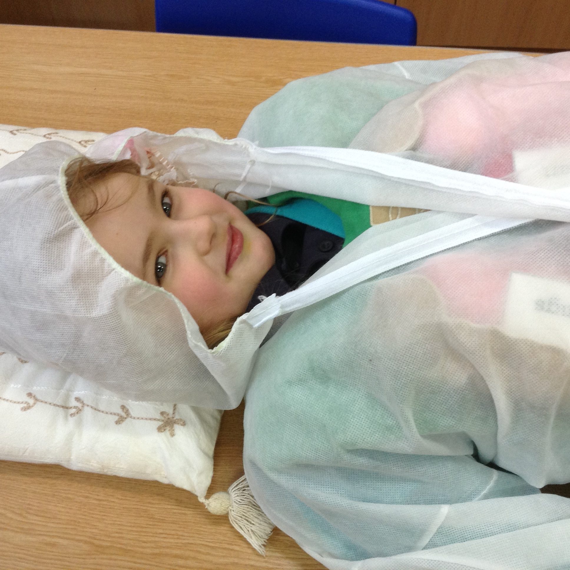 Mummification | Christopher Pickering Primary School
