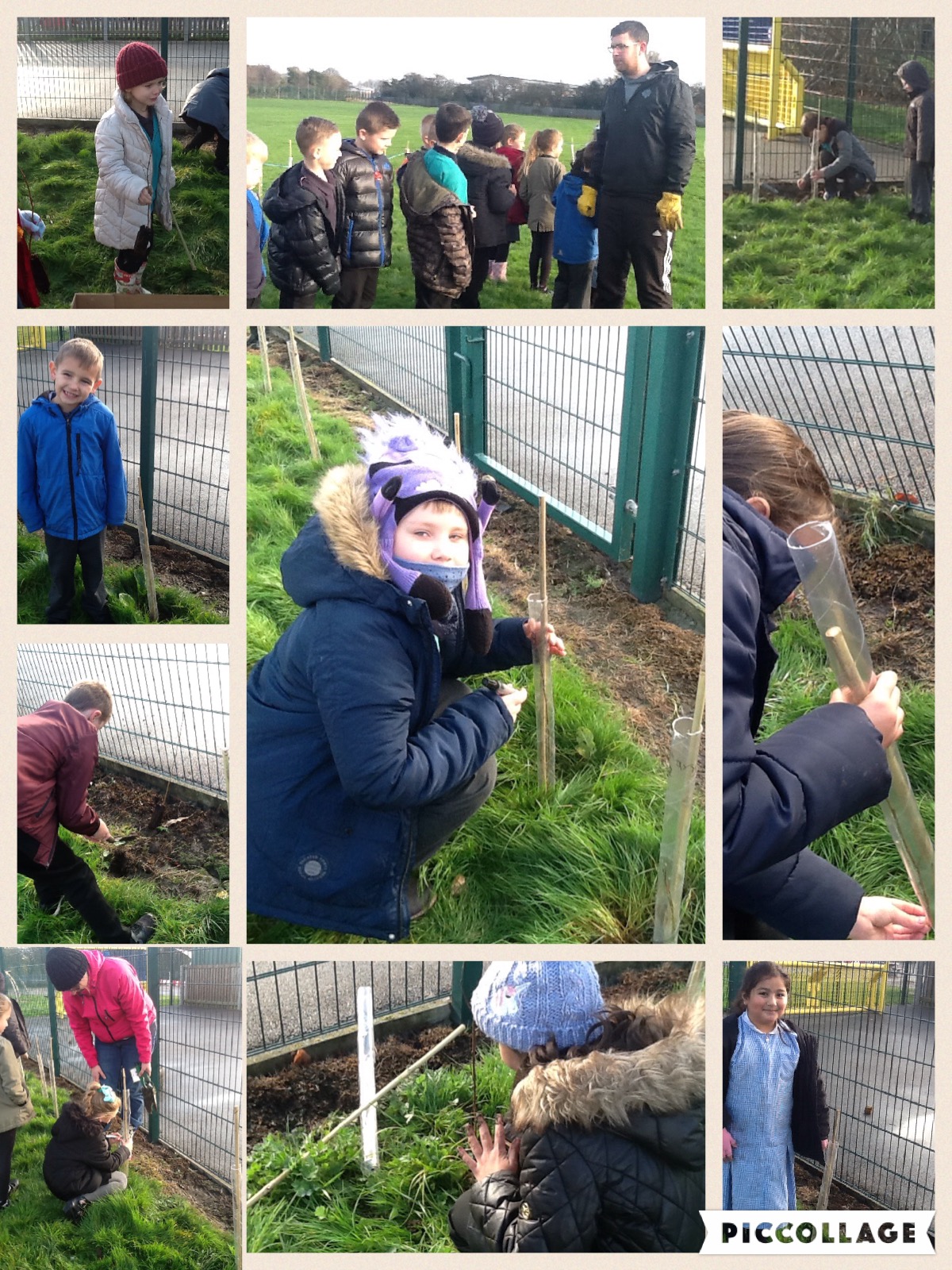Tree Planting Fun | Christopher Pickering Primary School