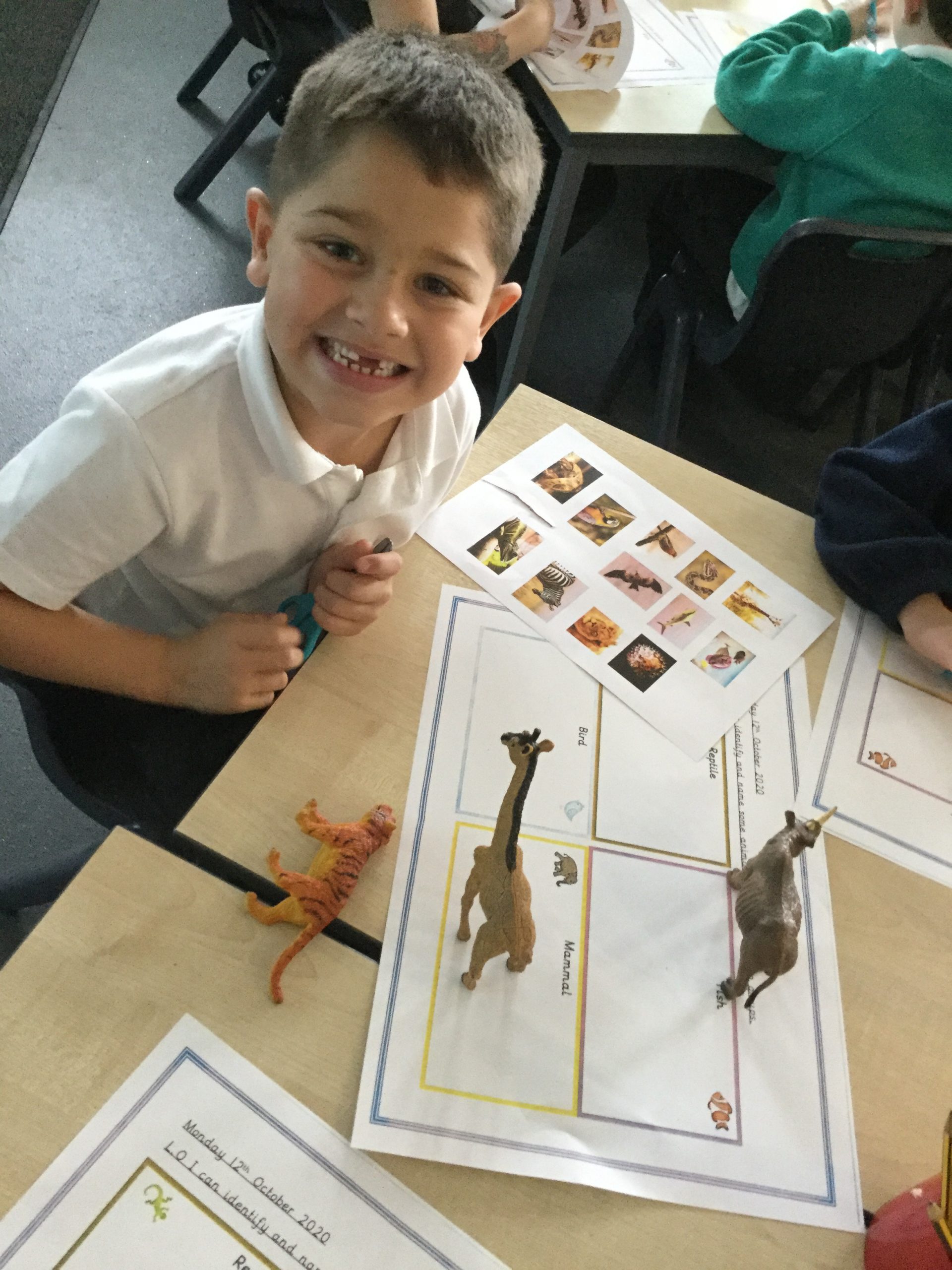 Animals and their characteristics! | Christopher Pickering Primary School