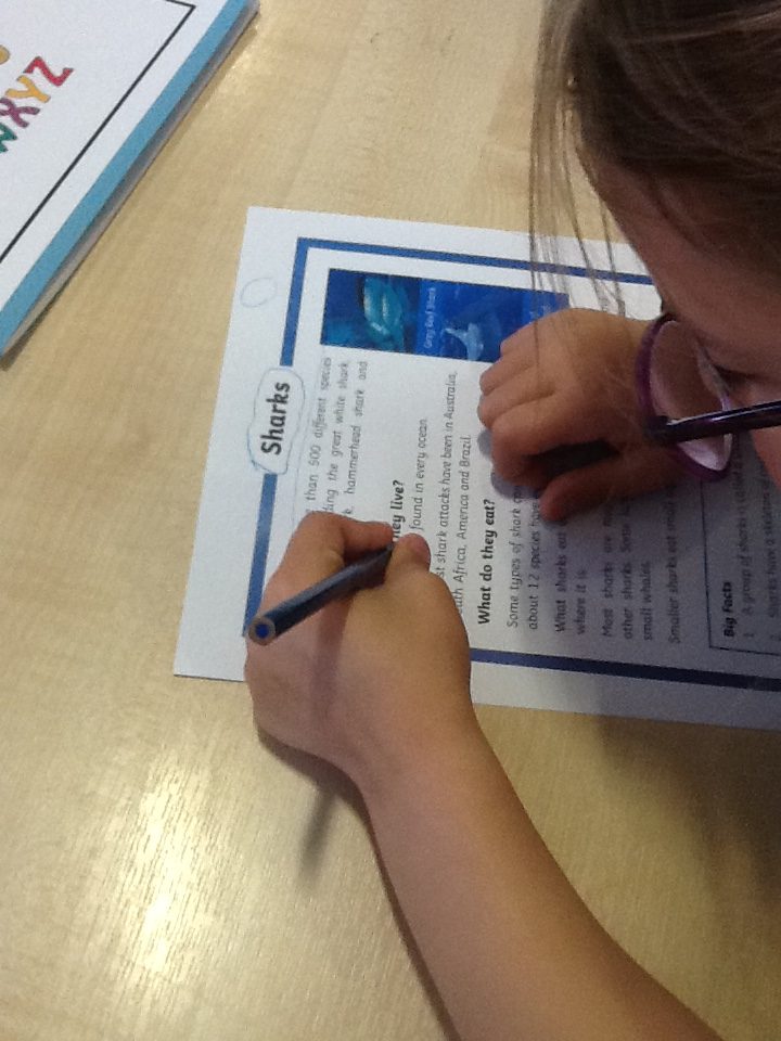 Non-Chronological Reports | Christopher Pickering Primary School
