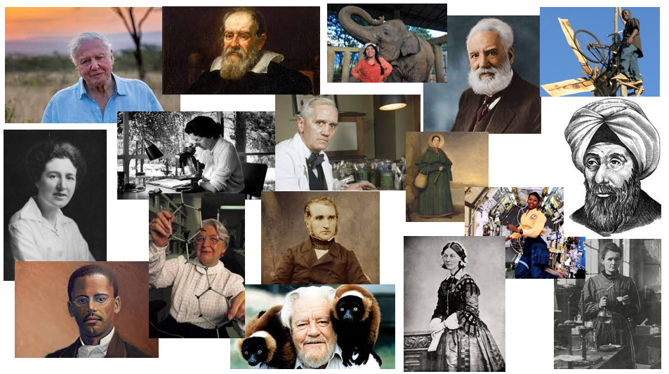 Science Curriculum Content & Progression | Christopher Pickering ...