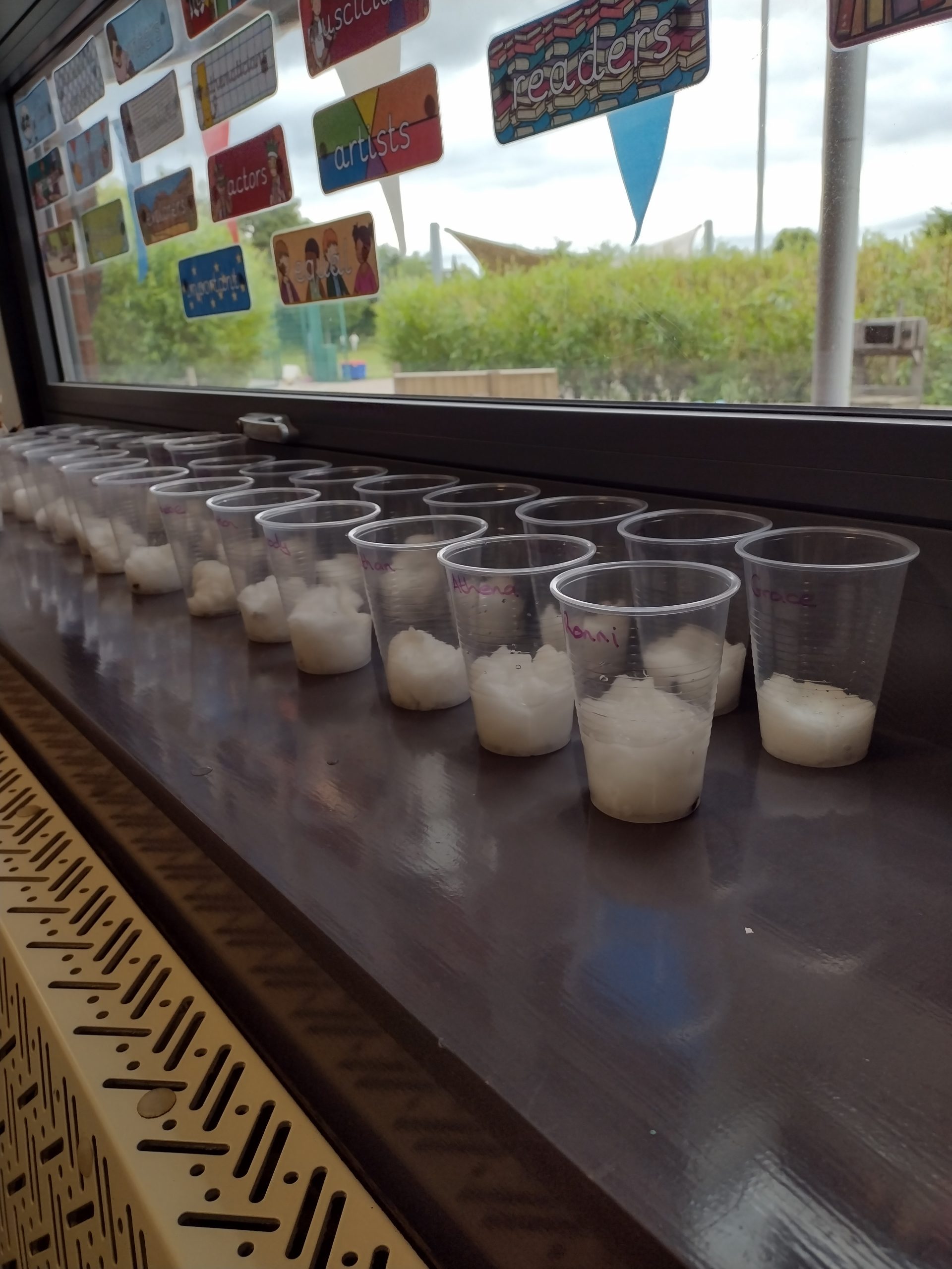 Observation over time | Christopher Pickering Primary School