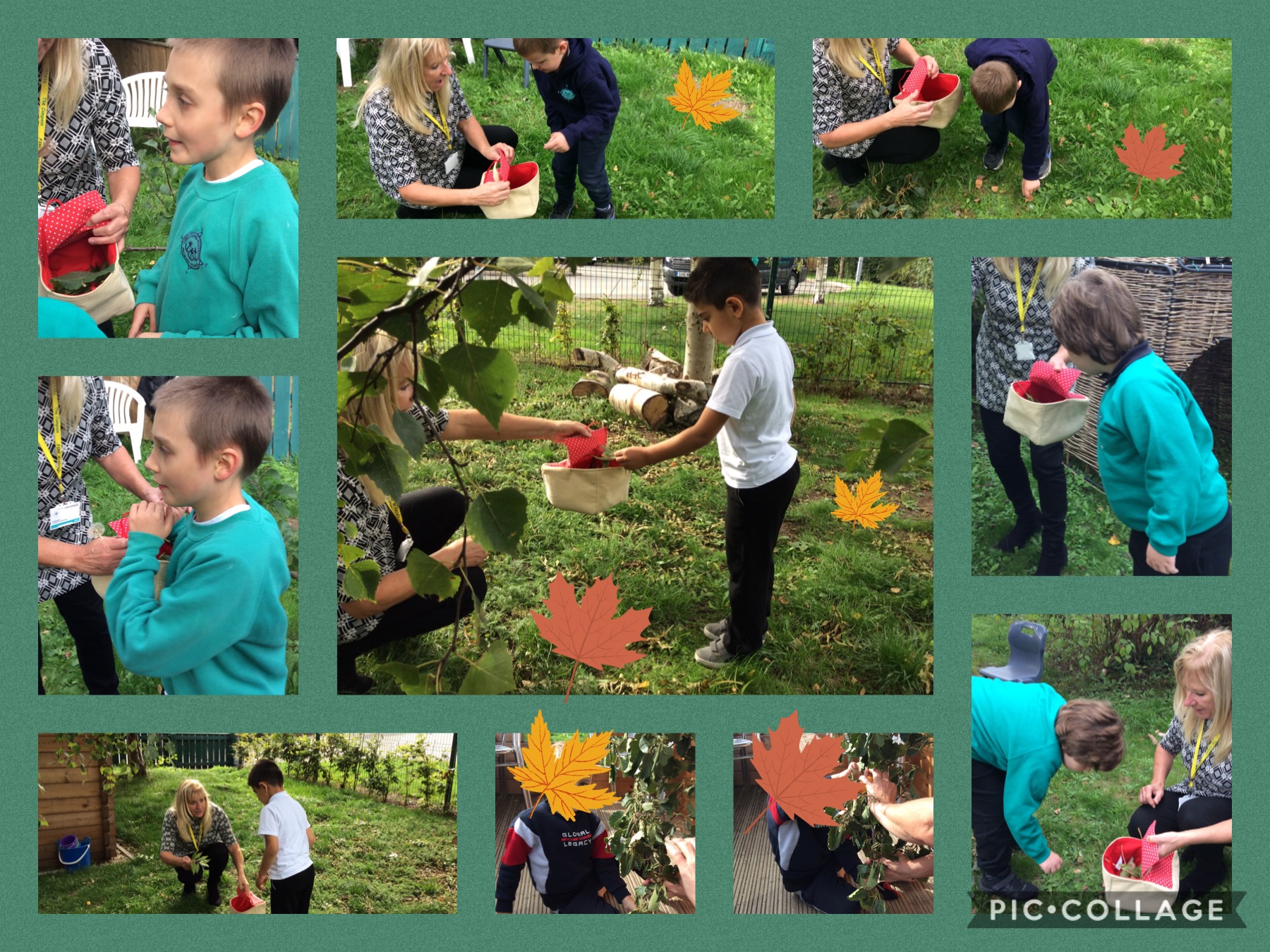Outdoor Sensory Nature Walk | Christopher Pickering Primary School