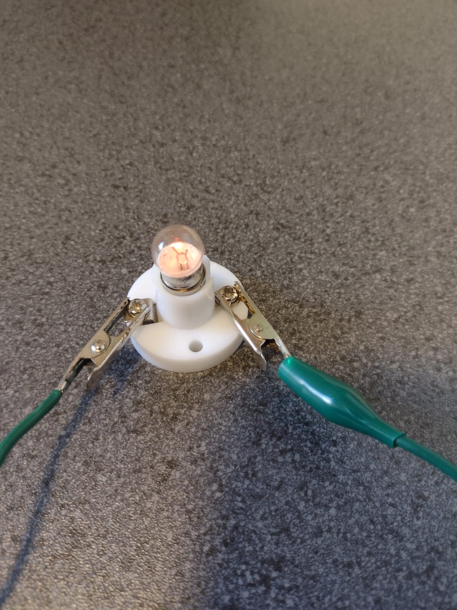 LIGHT BULB OBSERVATION | Christopher Pickering Primary School