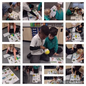 Robot Algorithms – Year 2 | Christopher Pickering Primary School