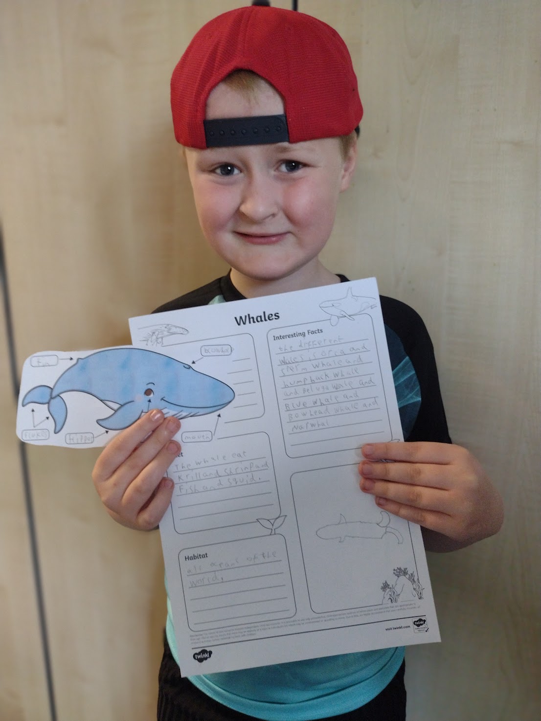 HUB English | Christopher Pickering Primary School