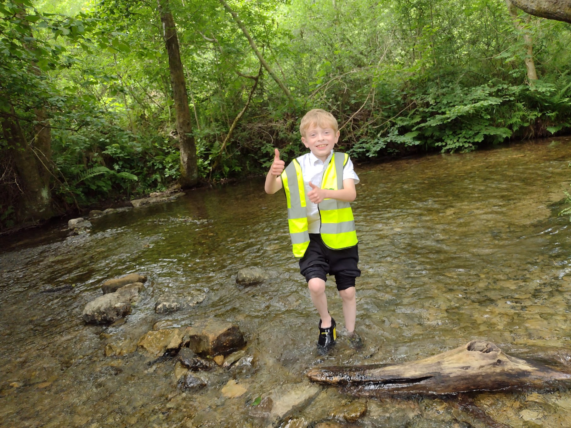 Mrs Hebden’s Class – Visit to Dalby Forest | Christopher Pickering ...
