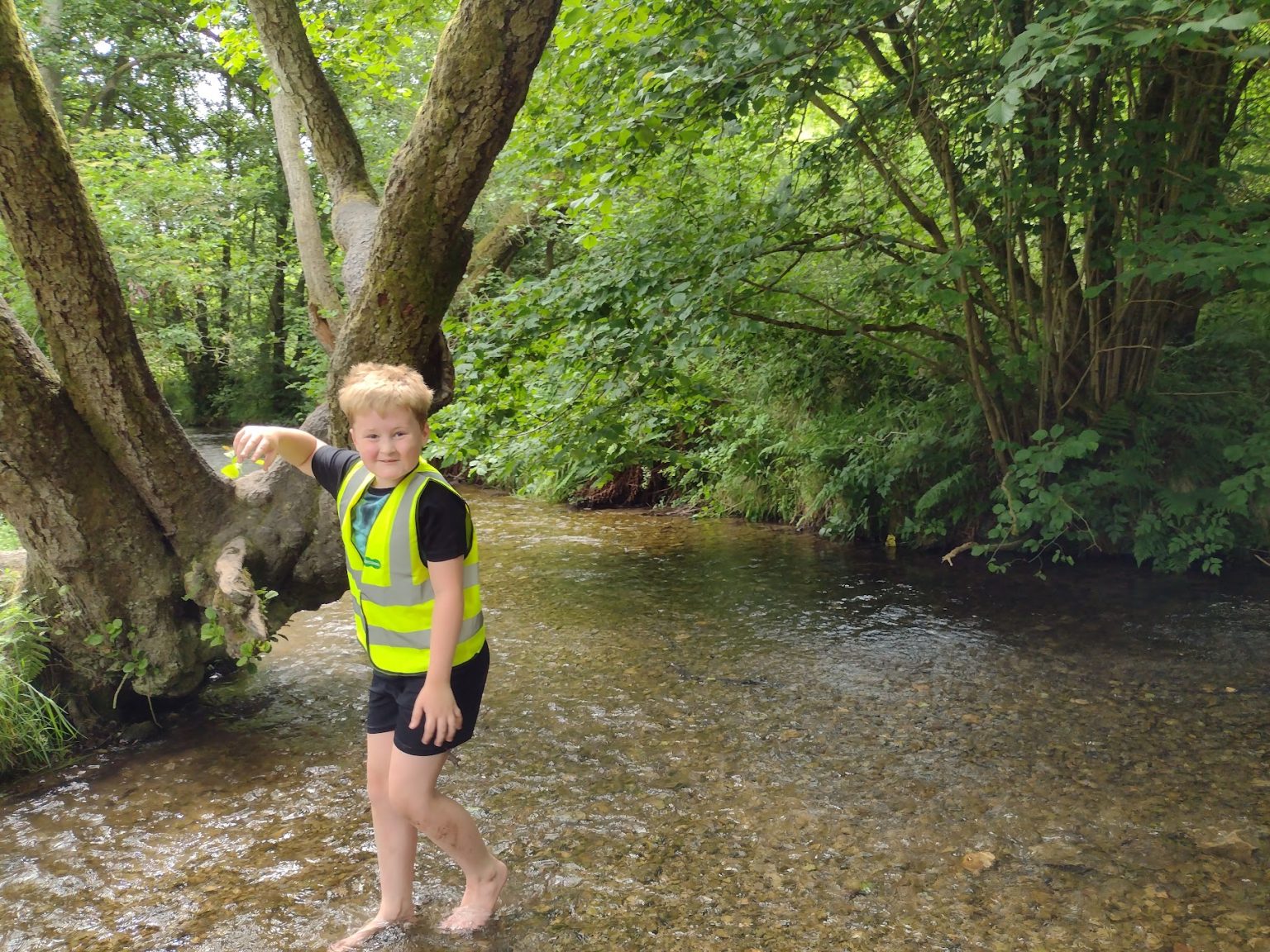 Mrs Hebden’s Class – Visit to Dalby Forest | Christopher Pickering ...