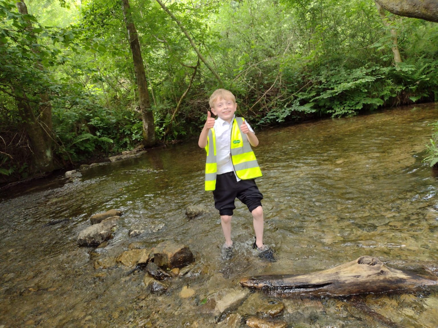 Mrs Hebden’s Class – Visit to Dalby Forest | Christopher Pickering ...