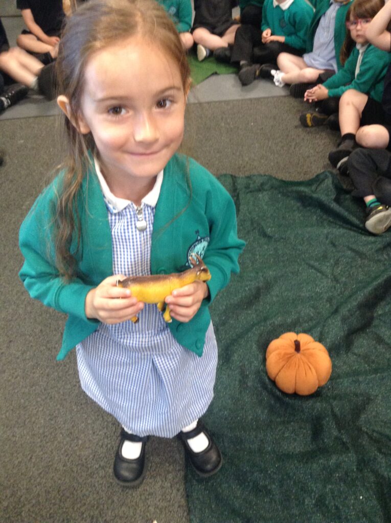 Innovating ‘The Enormous Turnip’! | Christopher Pickering Primary School