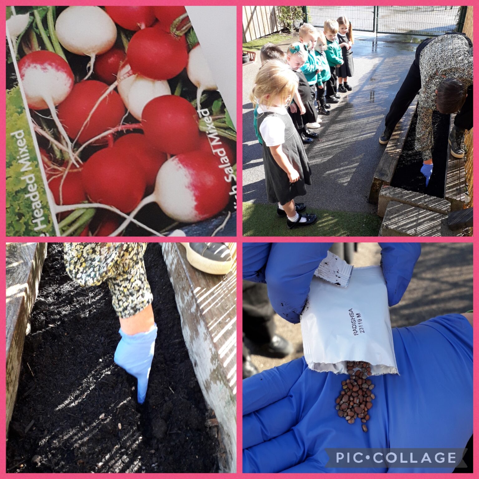 Planting | Christopher Pickering Primary School