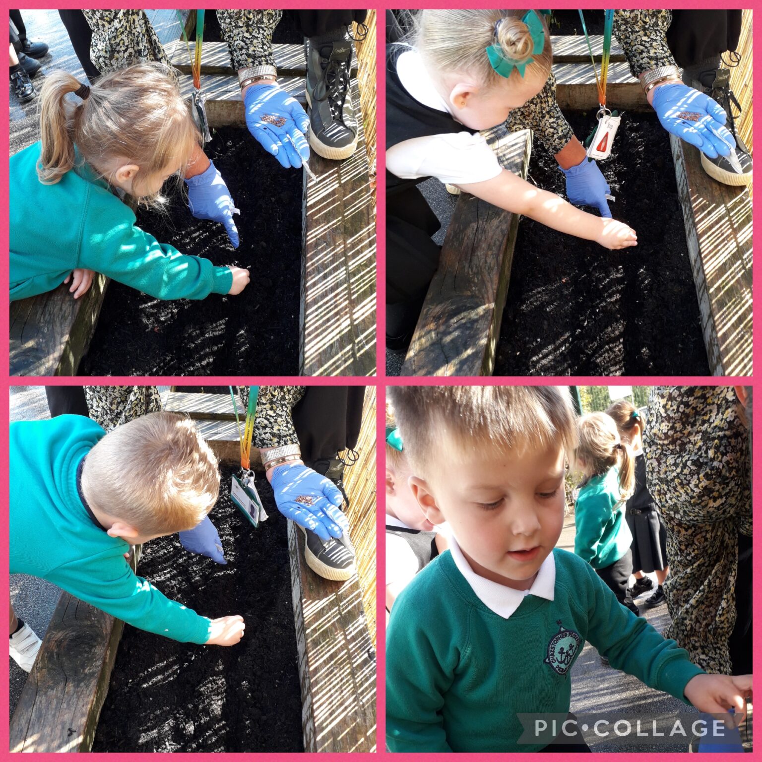 Planting | Christopher Pickering Primary School