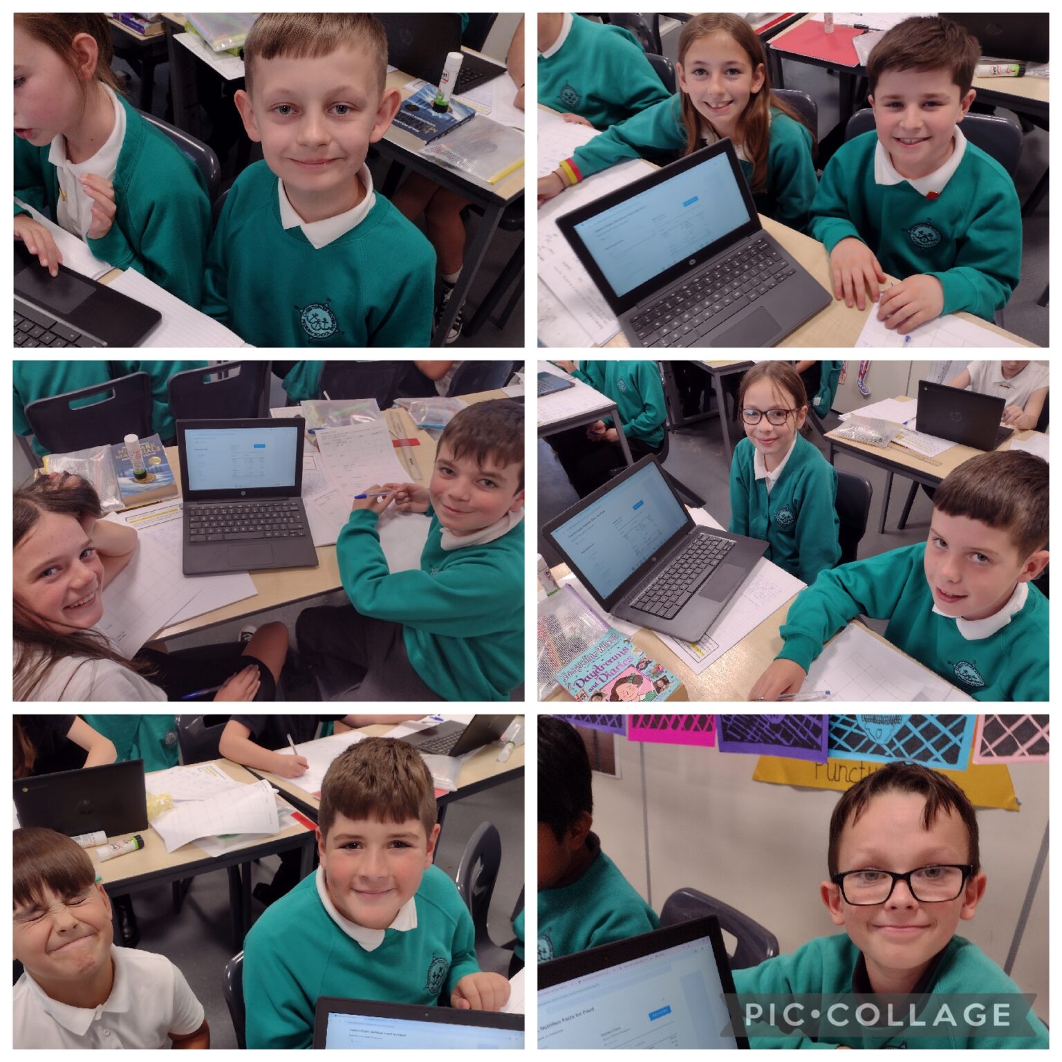 Y6 Science | Christopher Pickering Primary School
