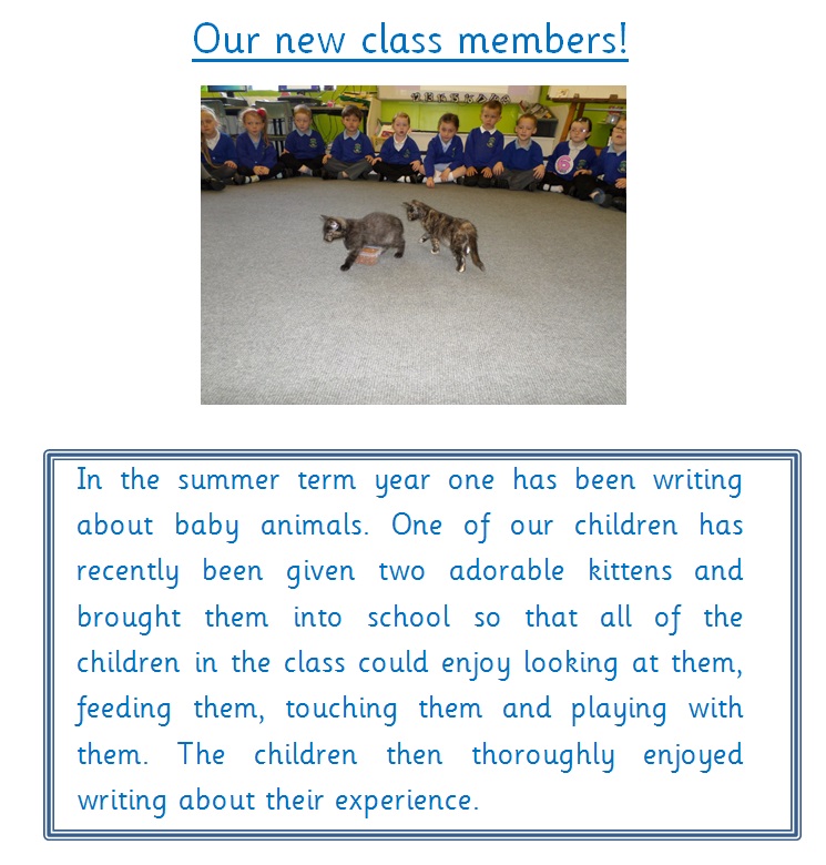 Year 1 | Simonside Primary School