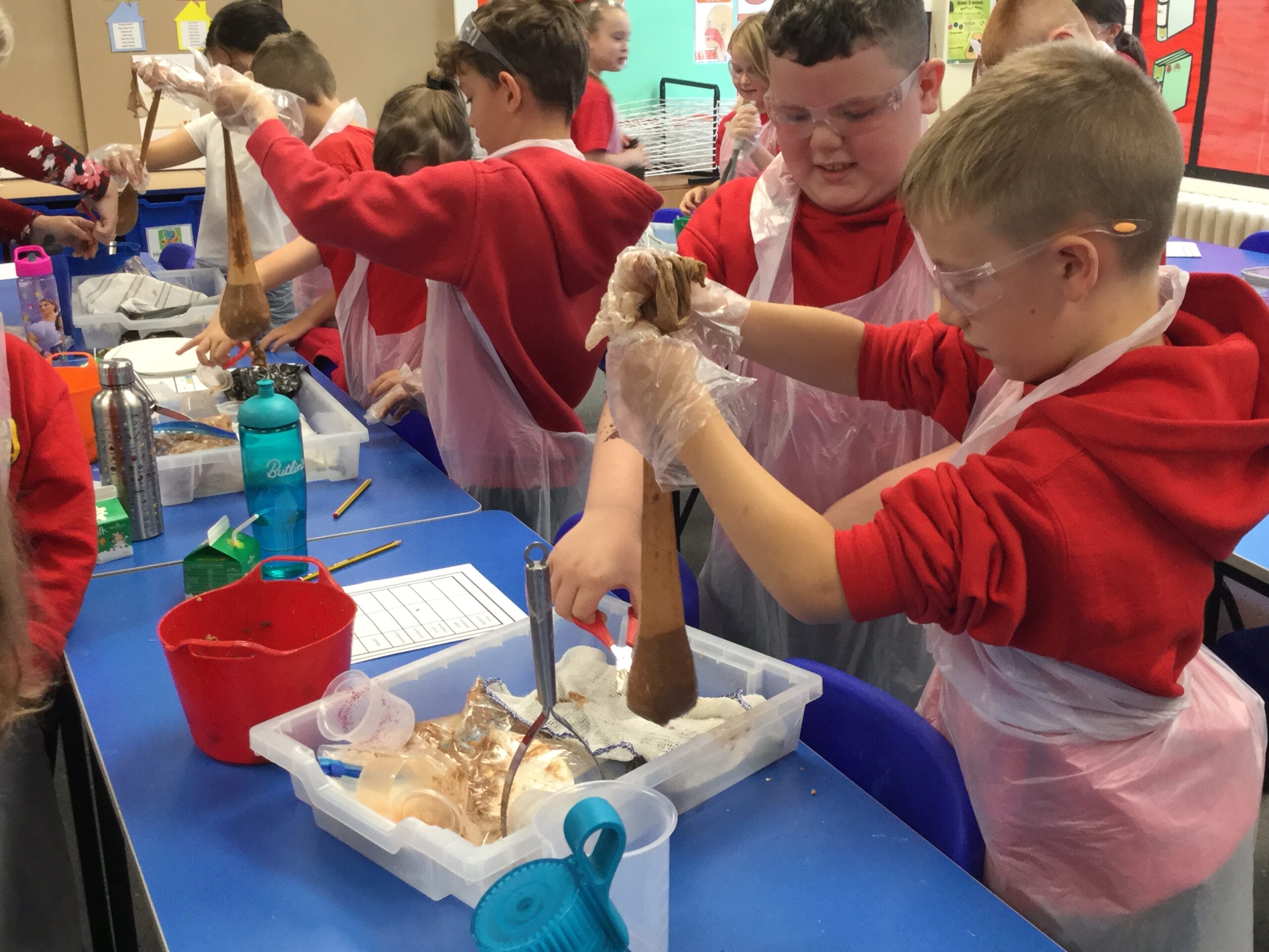 Year 4 enjoyed a visit from Katie, from Science Buddies | Biddick Hall ...