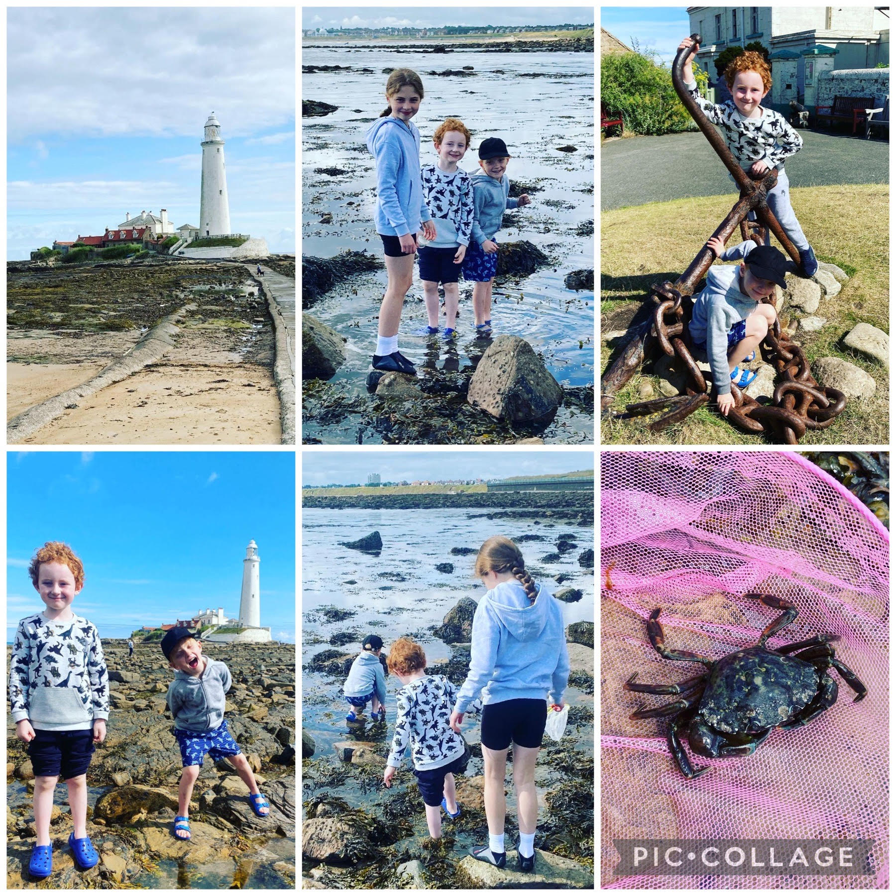Whole School News – Rock pooling fun! – 22.08.2022 | St Oswald's CE VA ...