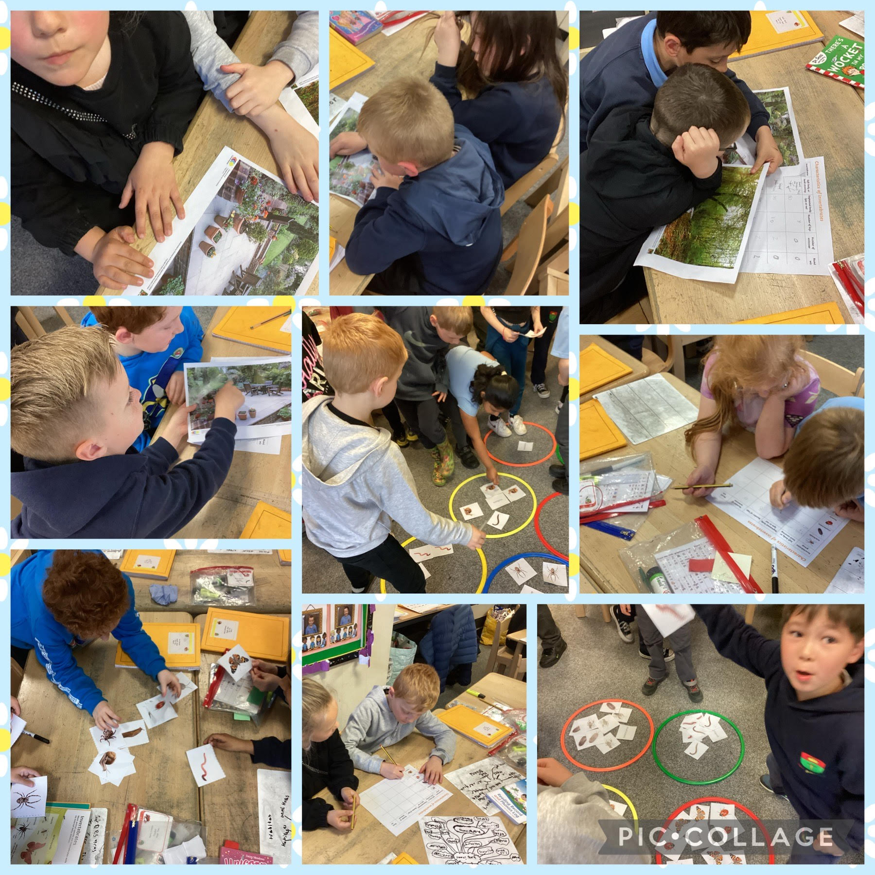 Year 2 – Microhabitats! – 03.06.2024 | St Oswald's CE VA Primary School