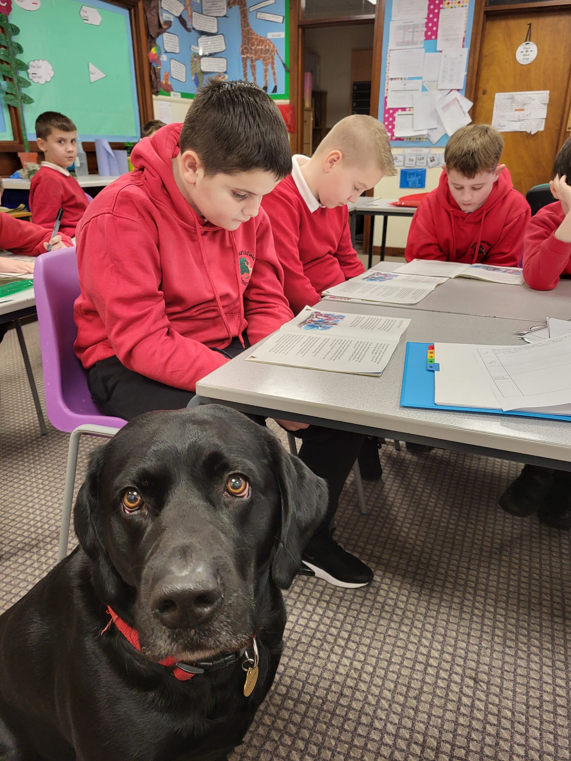 Reading with Shadow | Hedworthfield Primary School