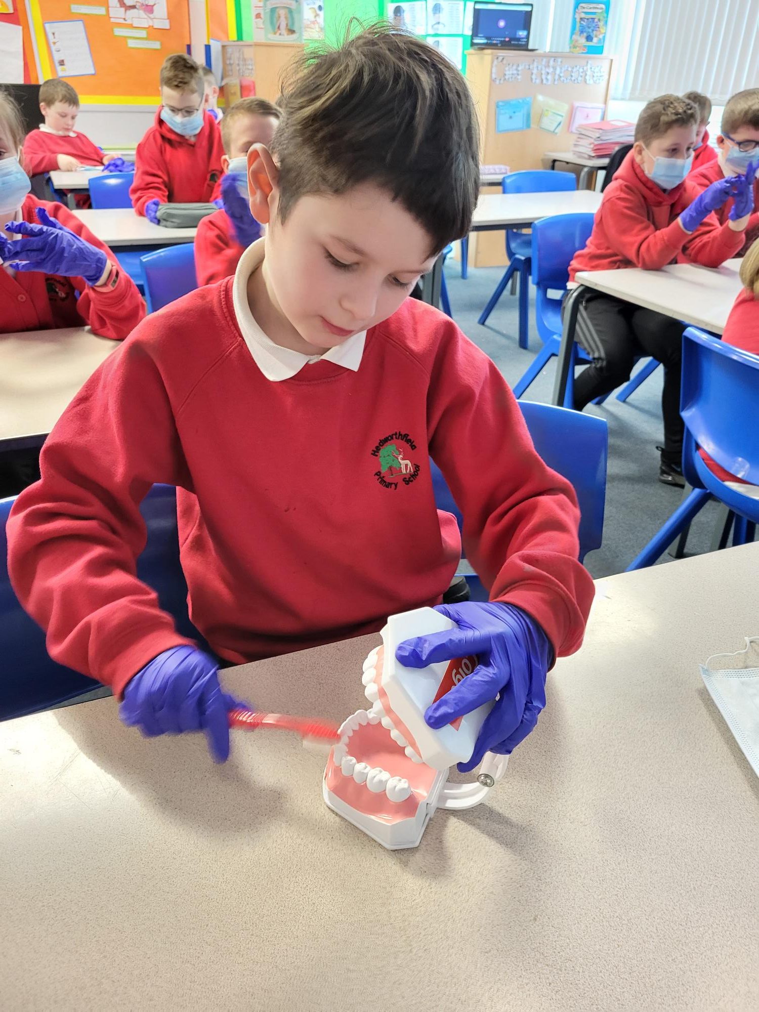 Future Dentists | Hedworthfield Primary School